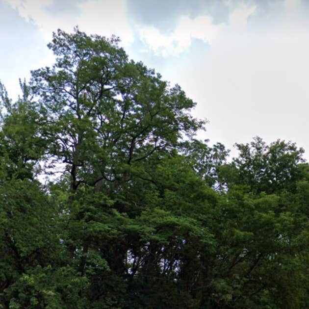 Monroe County Webster Park Camping | Webster, New York