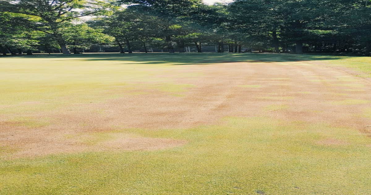 Hickory Ridge Golf & RV Resort | Holley, NY