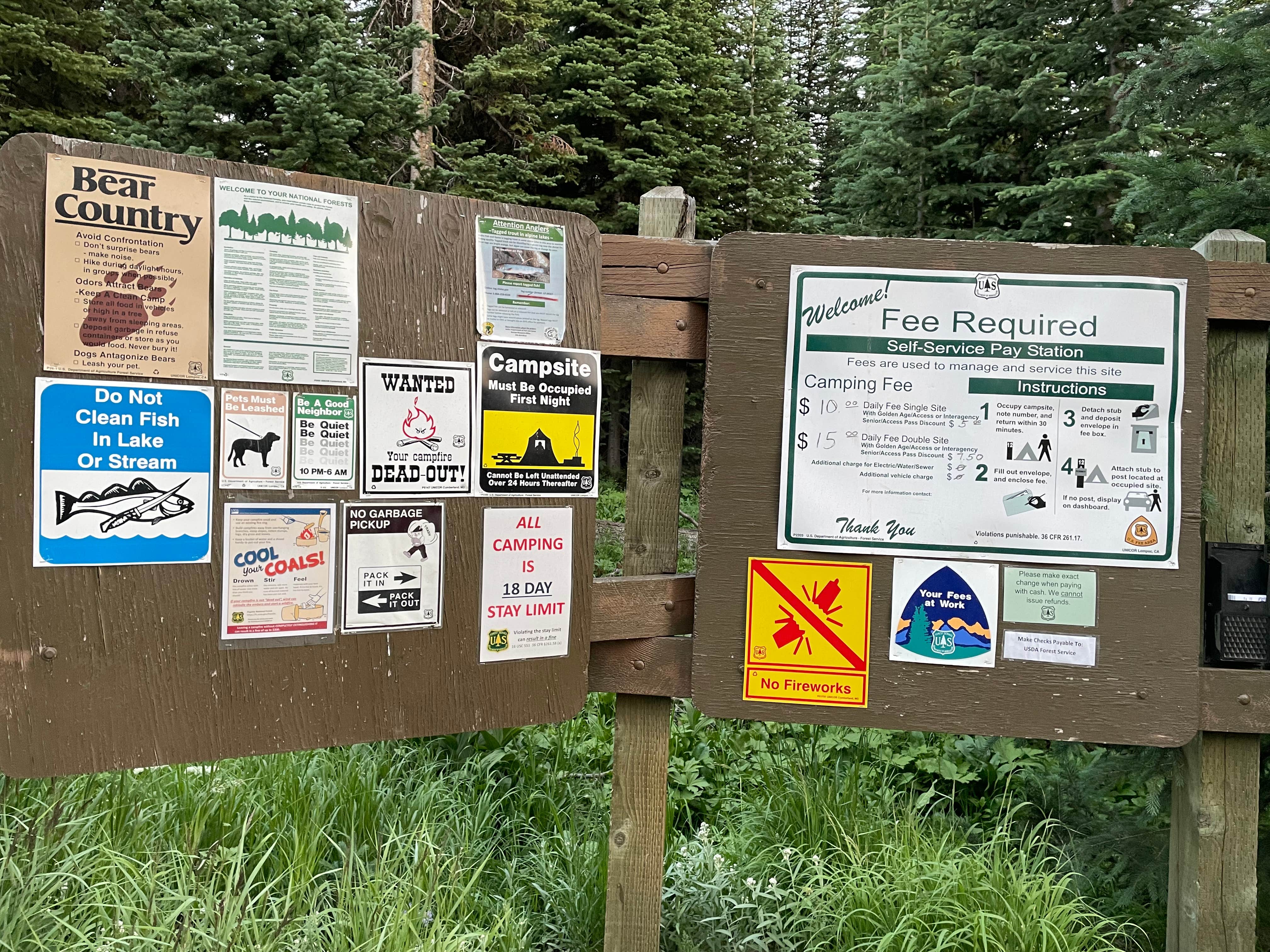 Hazard Lake | Pollock, ID