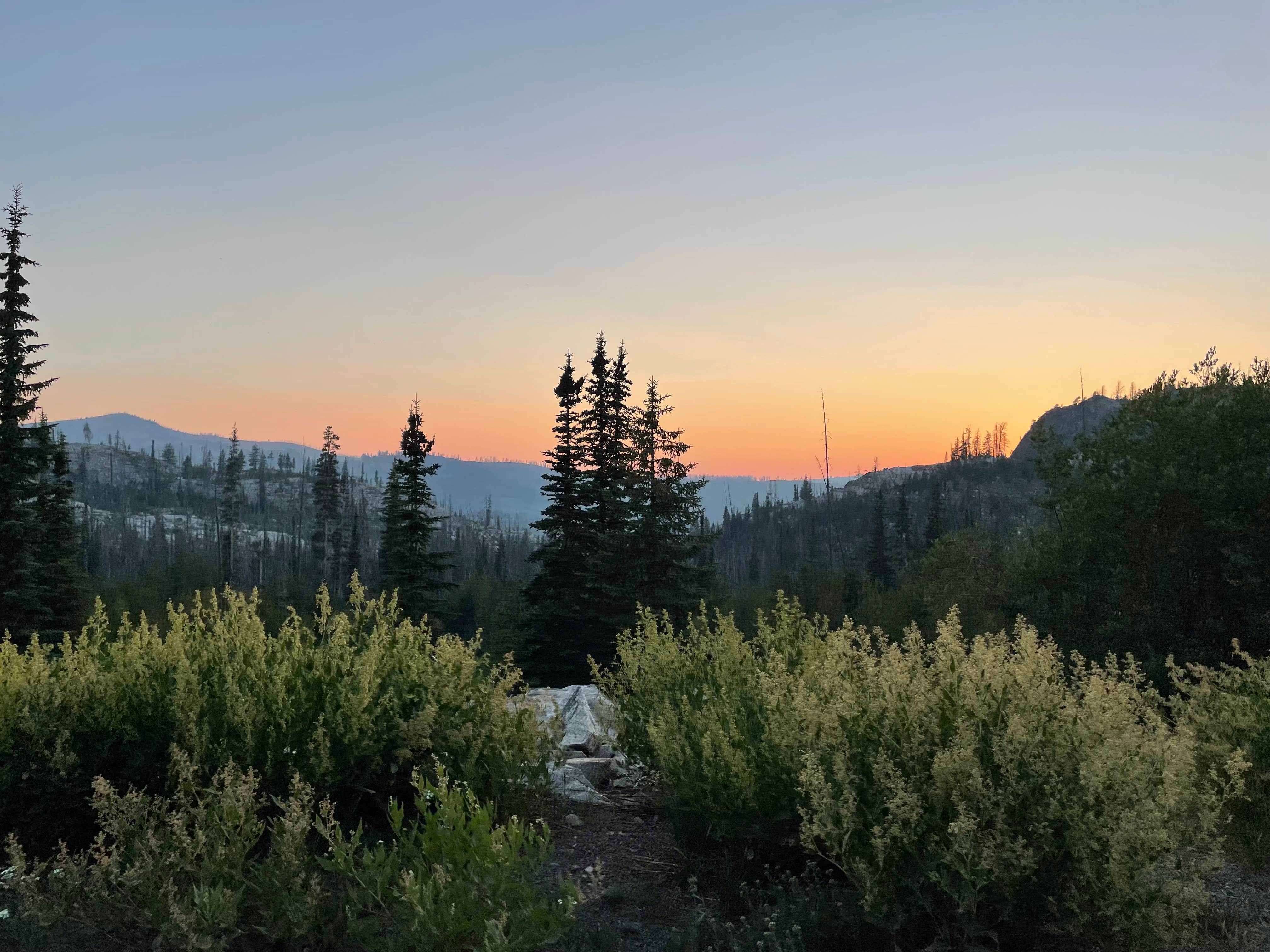 Hazard Lake Camping | Pollock, ID