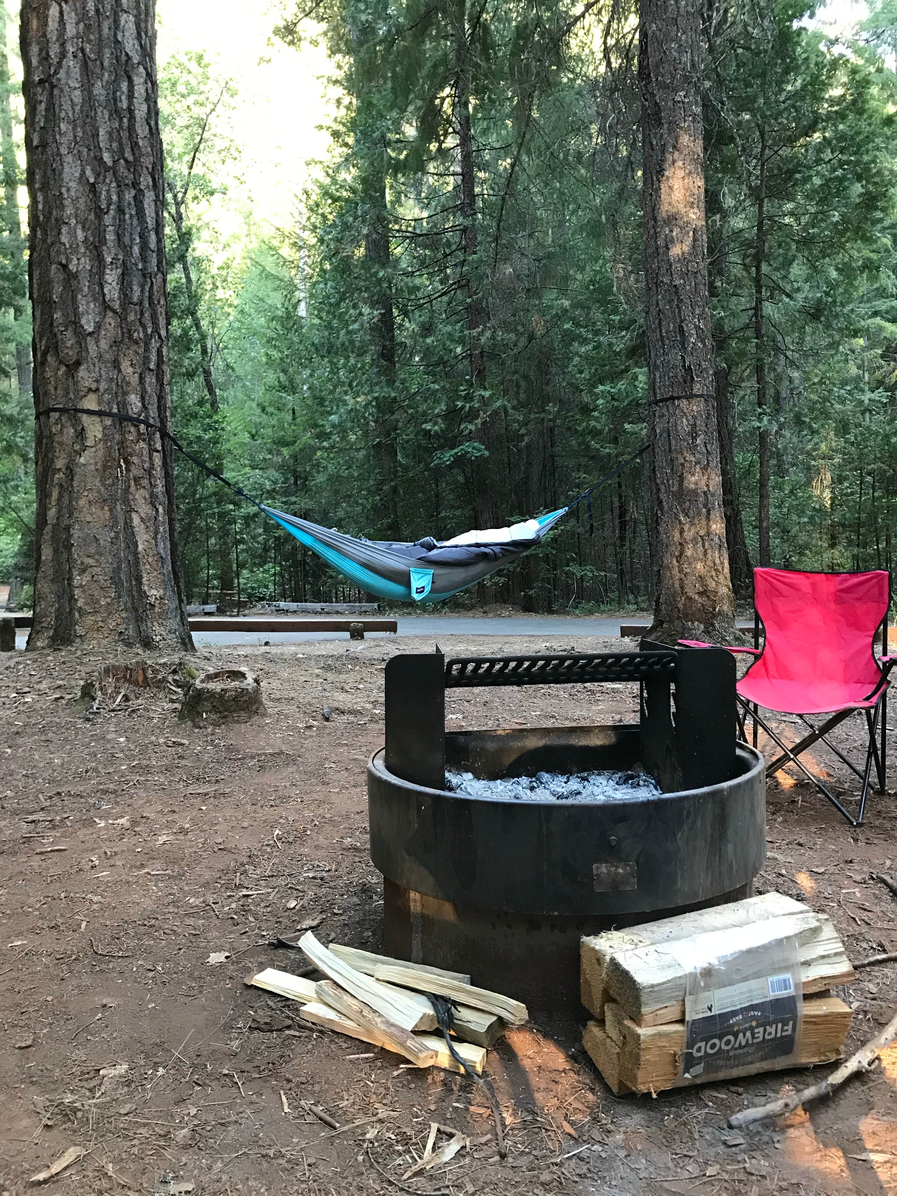 Tannery Gulch Campground | Trinity Center, CA
