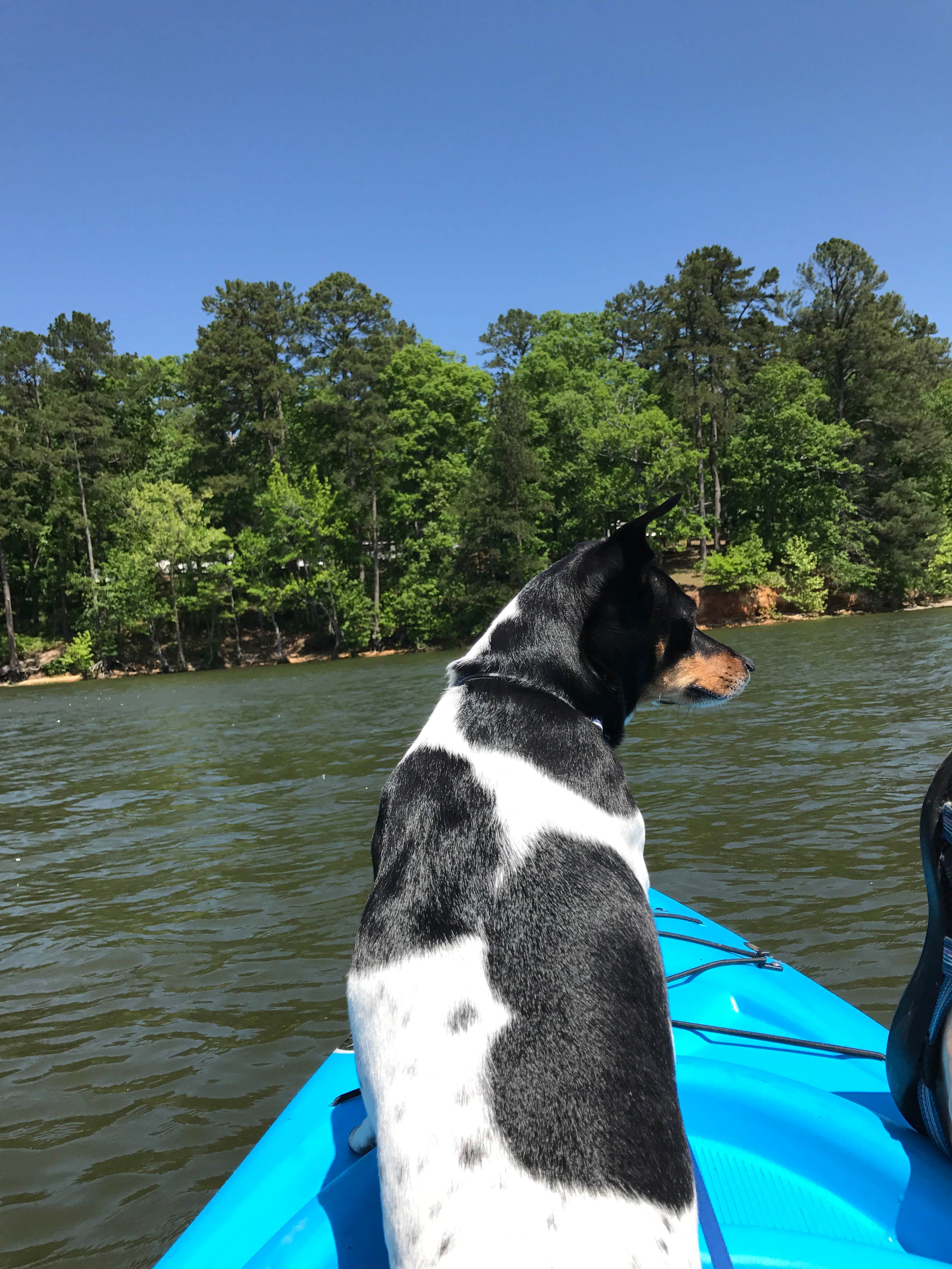 J. P. Coleman State Park Camping | The Dyrt