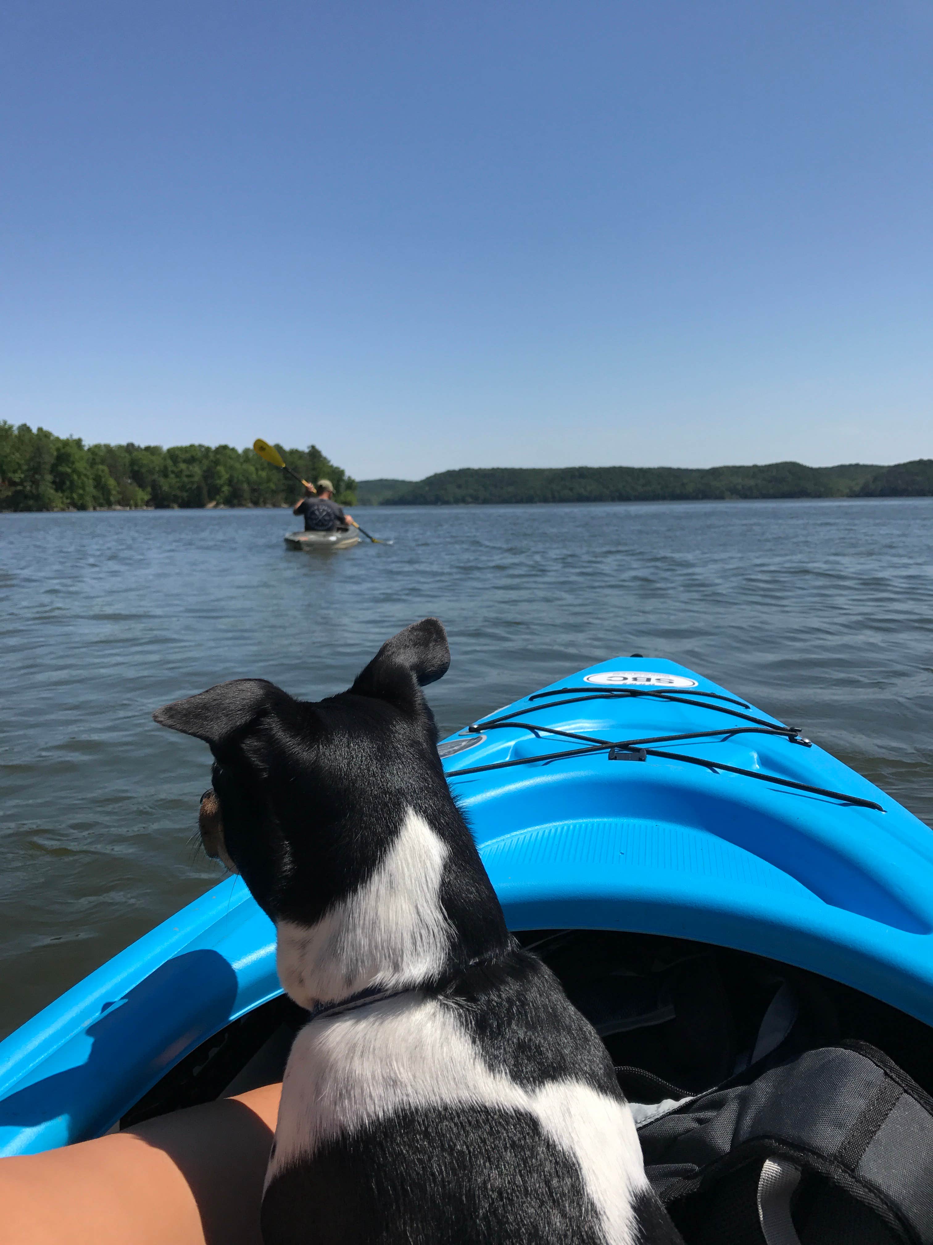 J.P. Coleman State Park Campground | Iuka, MS