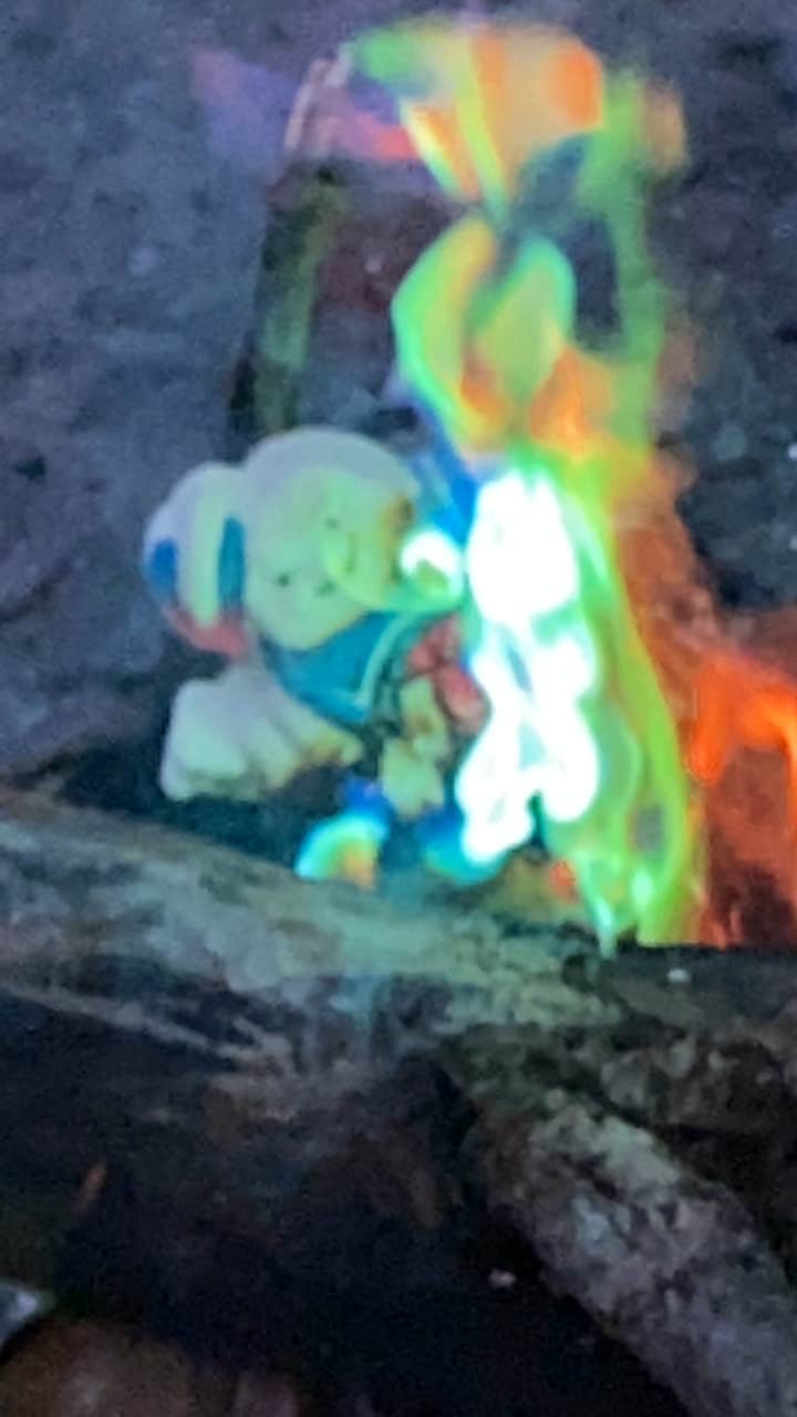 Log Lake Campground | Kalkaska, MI