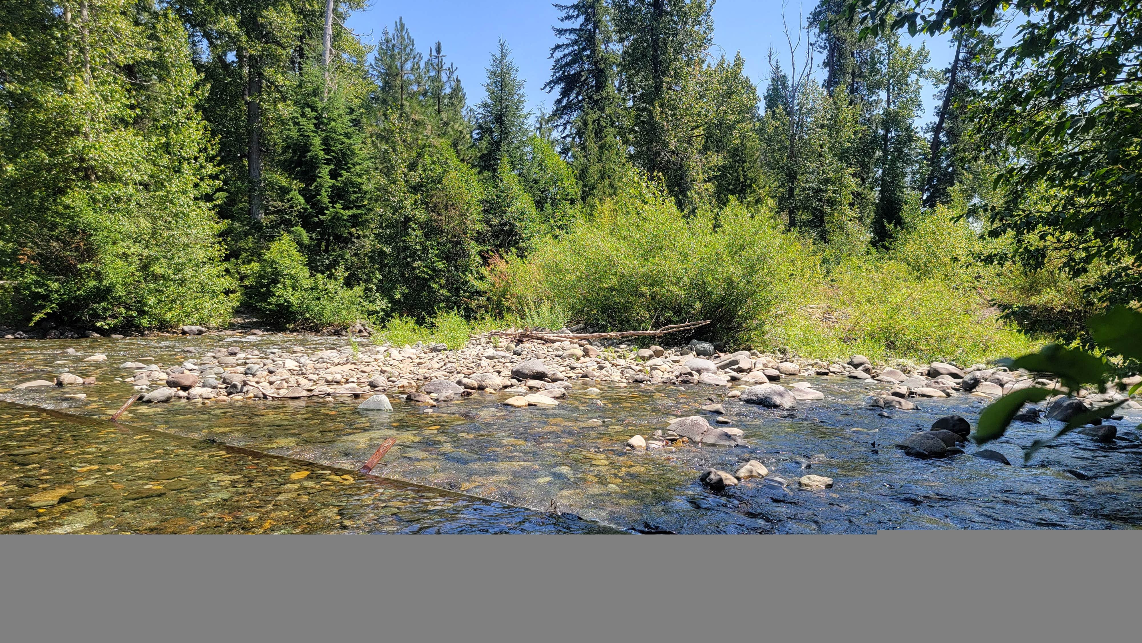 Teanaway Campground | The Dyrt