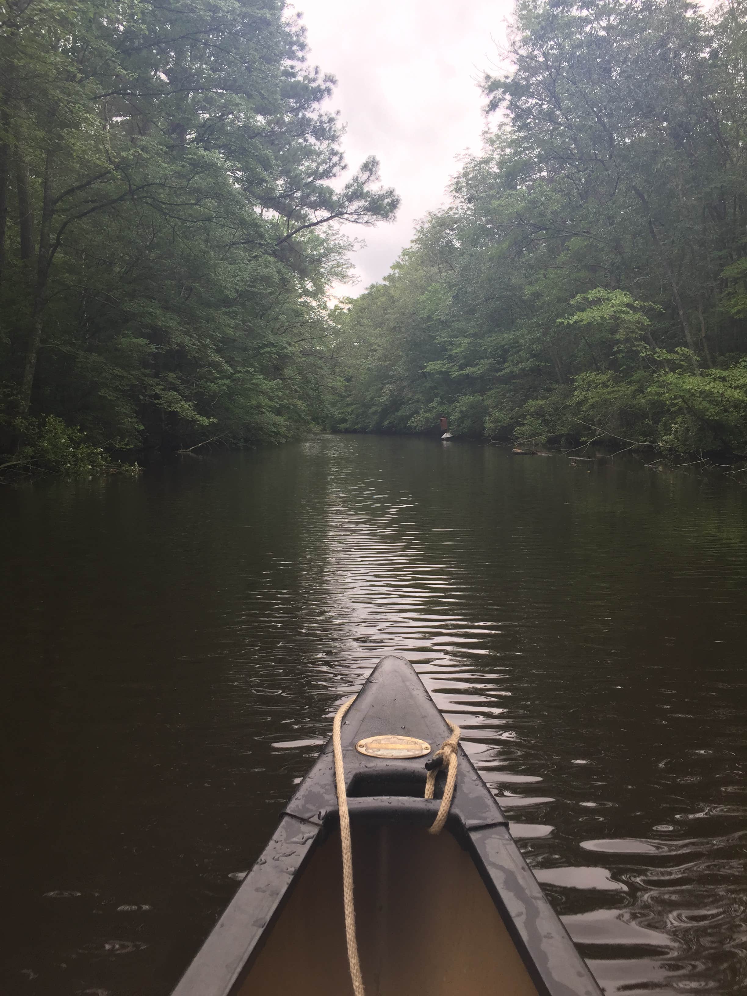 Pocomoke River State Park Campground | Girdletree, MD