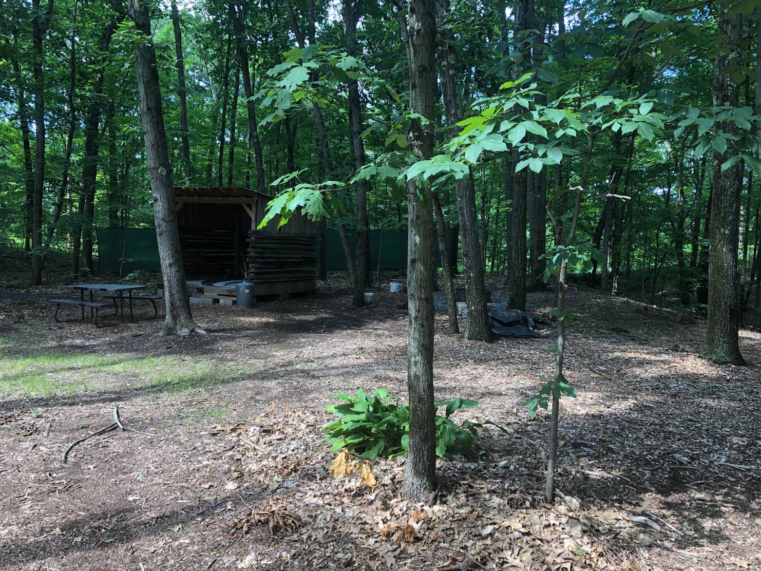 Rustic Lean-To | The Dyrt