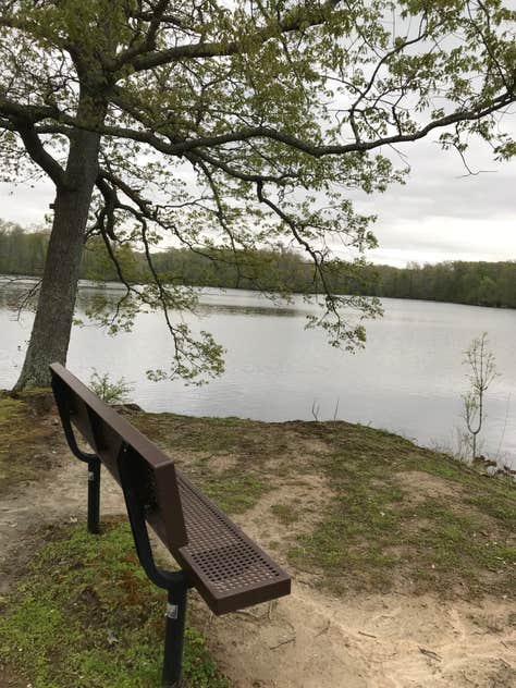 Bear Creek Lake Recreation Area Camping | The Dyrt