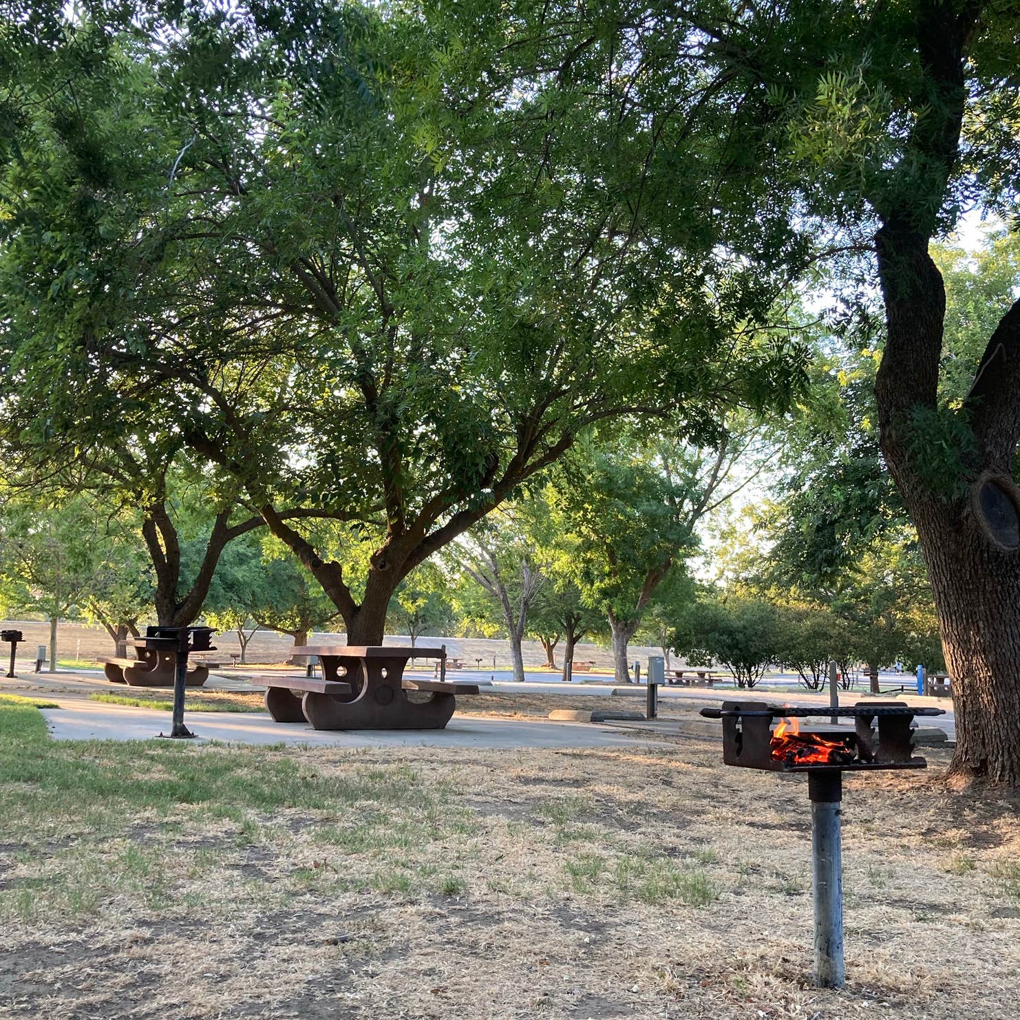 Colusa-Sacramento River State Recreation Area Campground | Colusa, CA