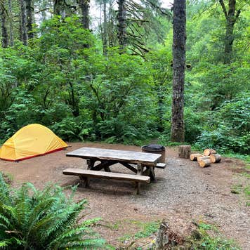 Hebo Lake Campground Camping | The Dyrt