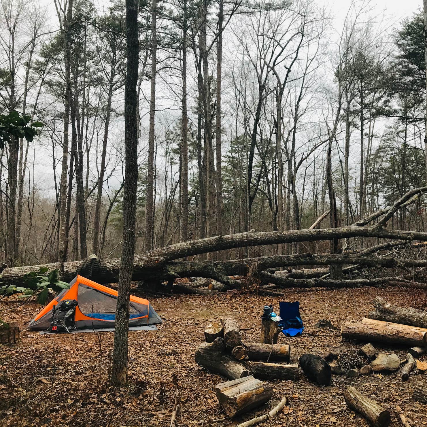 Savage Falls Campground — Savage Gulf State Park | Palmer, TN