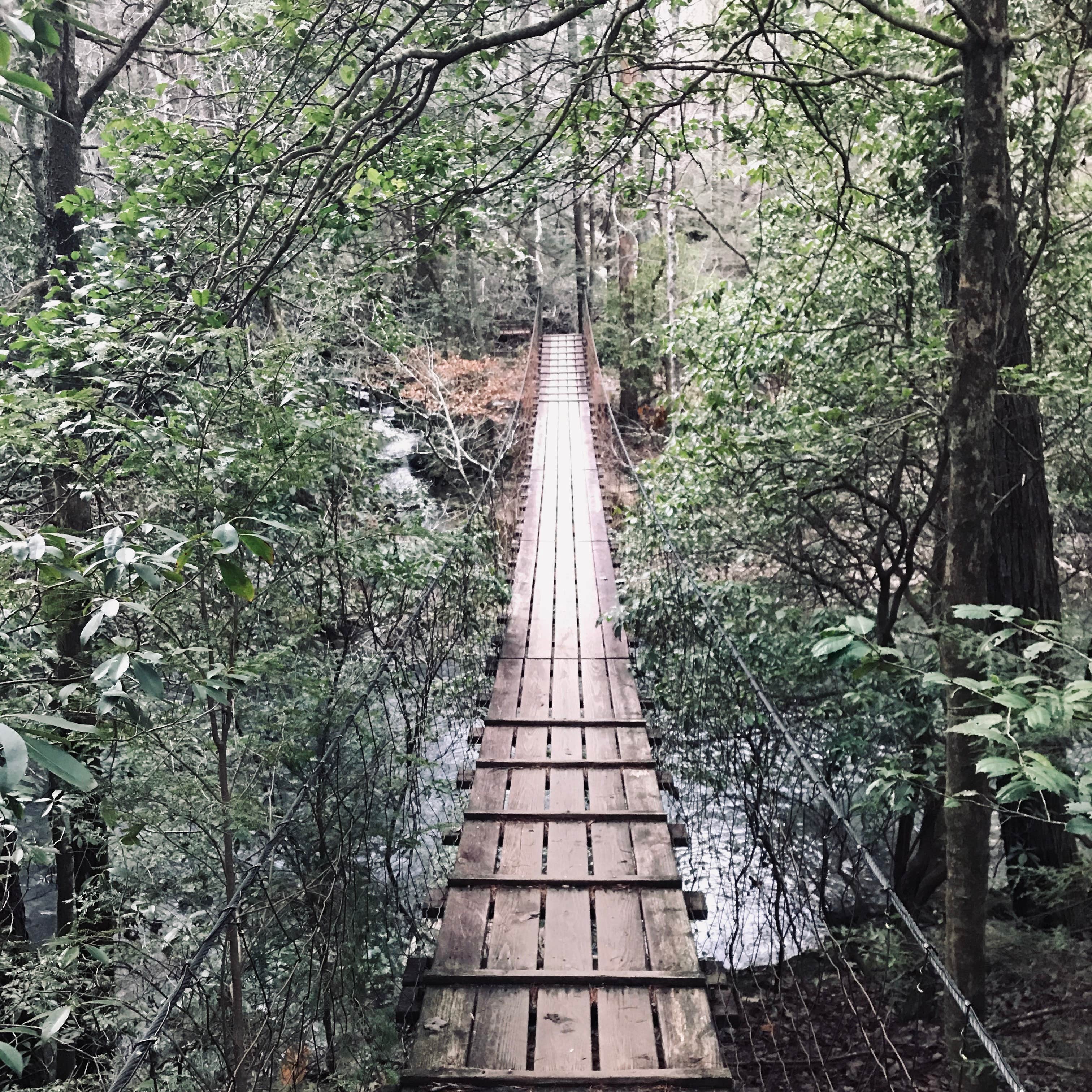Savage Falls Campground — Savage Gulf State Park | Palmer, Tennessee