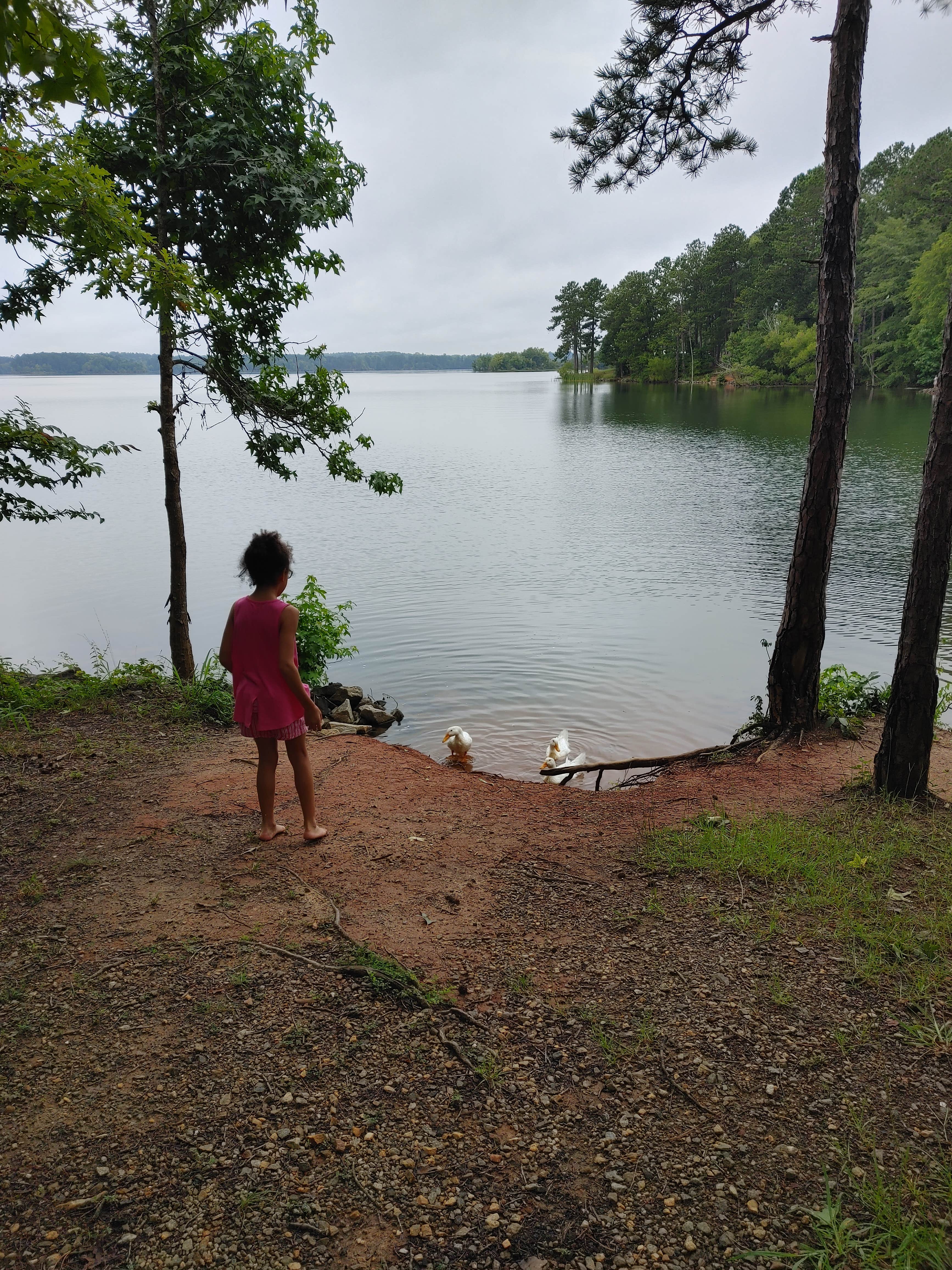 Dames Ferry Park (Georgia Power) | The Dyrt