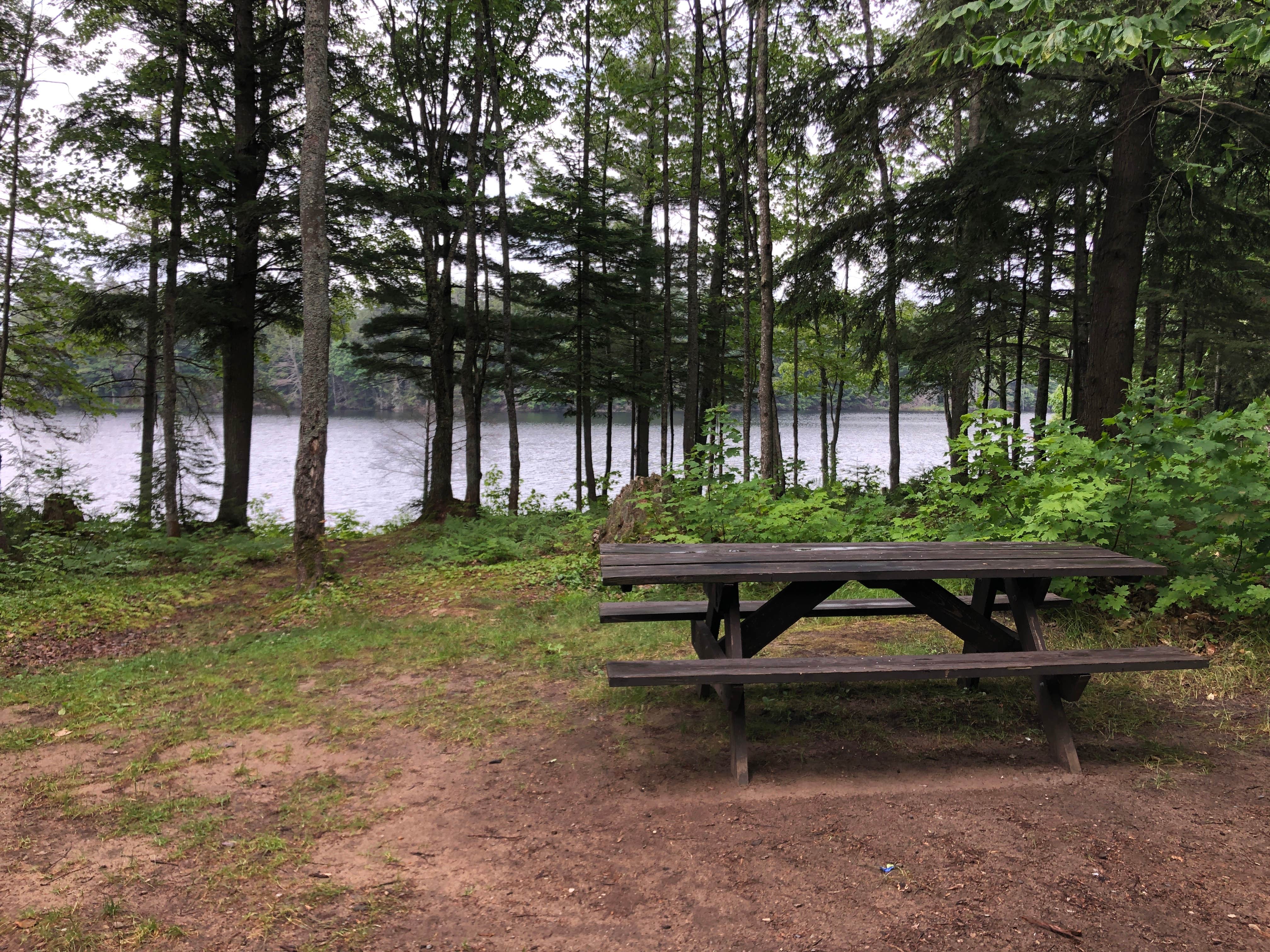 North Gemini Lake State Forest Campground | Shingleton, MI
