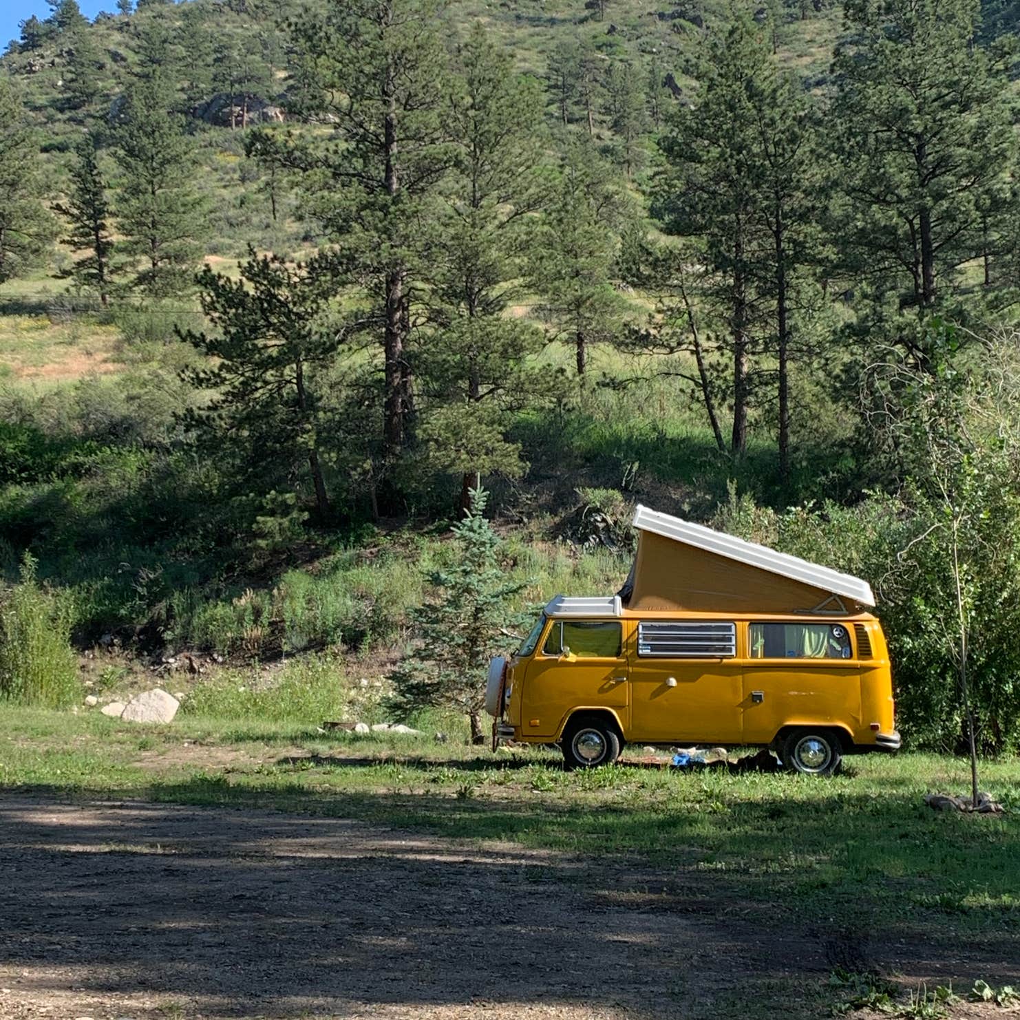 Drake Campground | Drake, Colorado