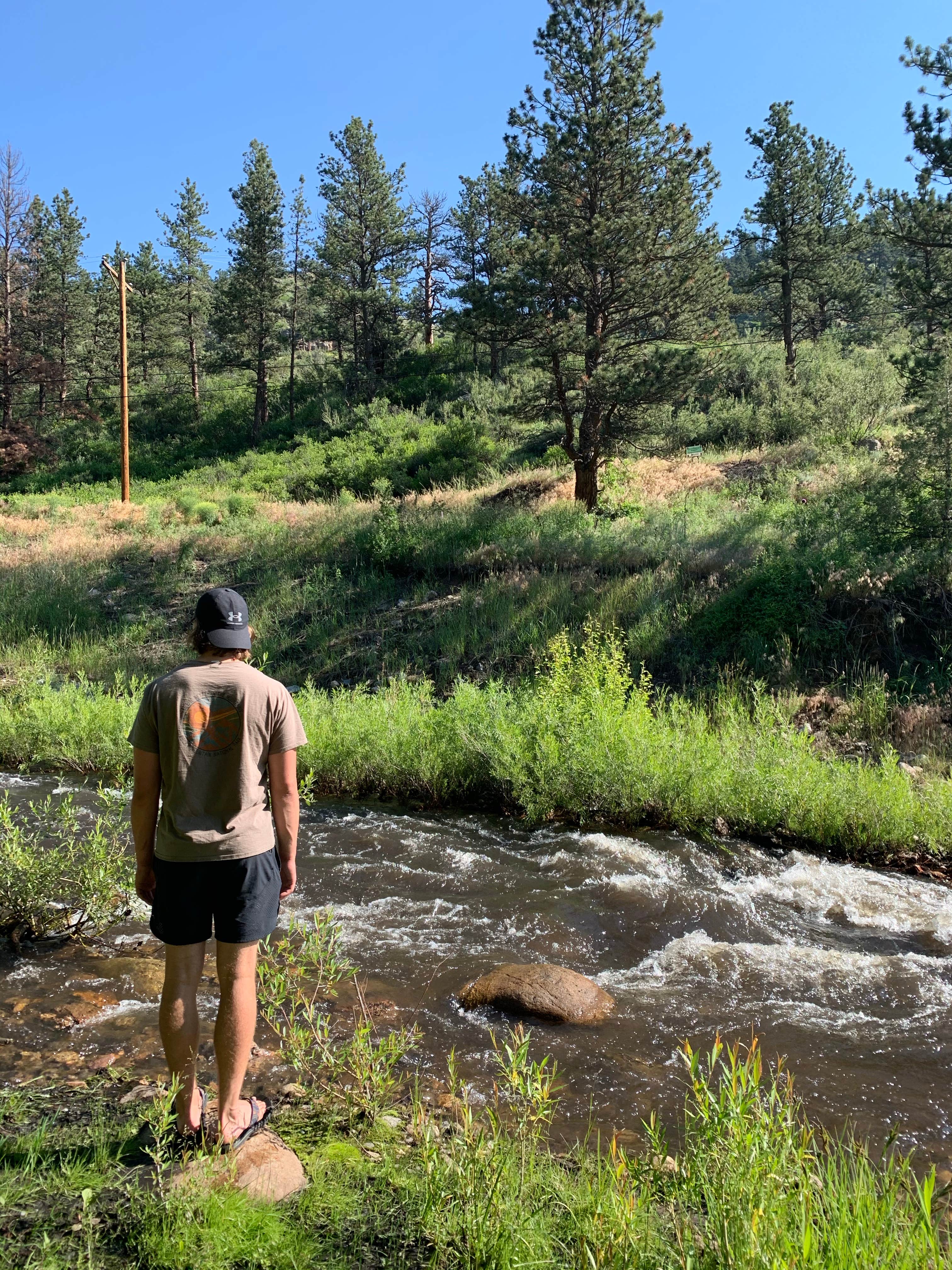 Drake Campground | Drake, Colorado