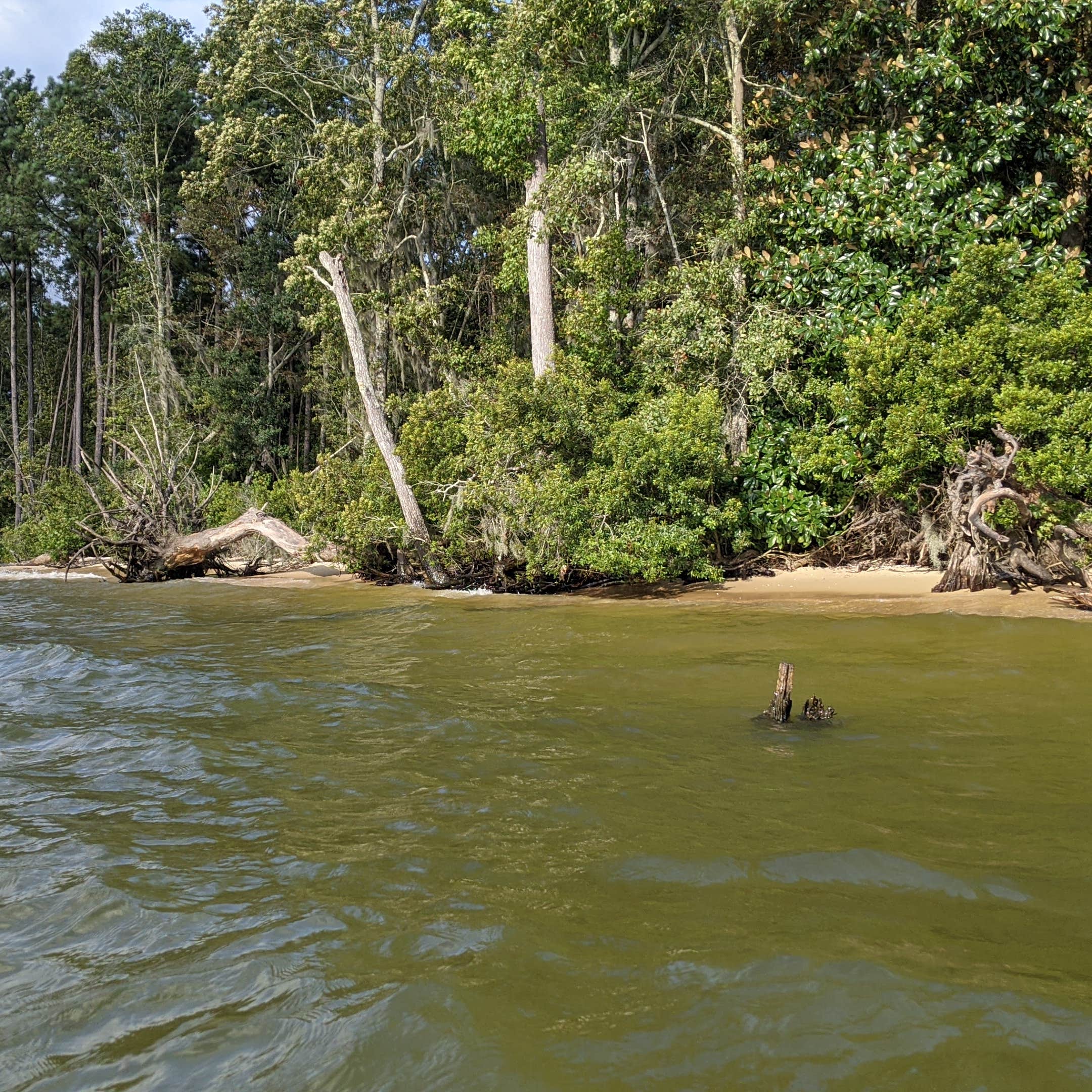 Short Stay Navy Outdoor Moncks Corner Camping | Pinopolis, South Carolina