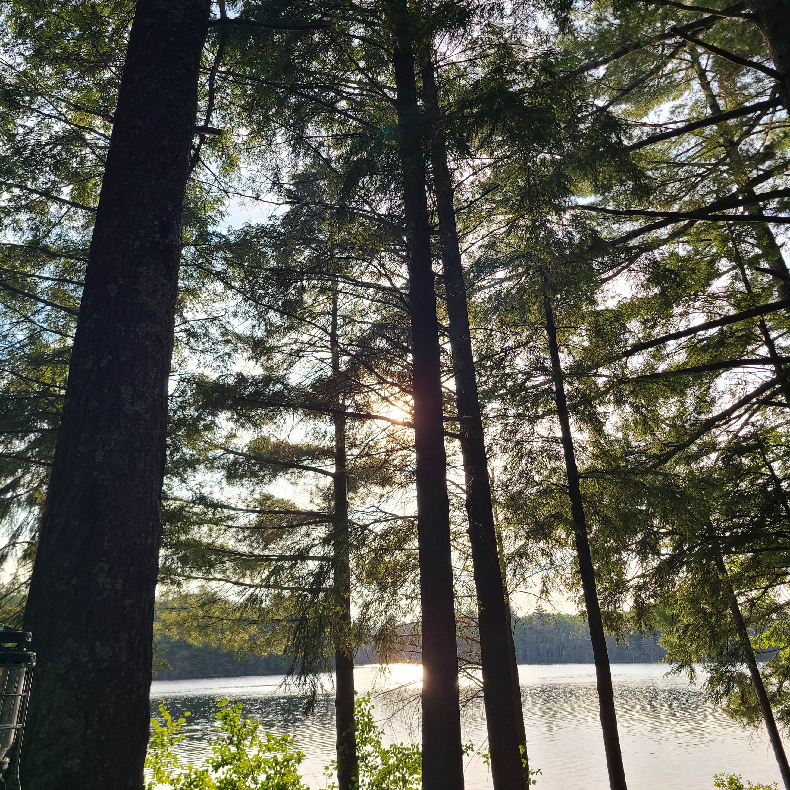 North Gemini Lake State Forest Campground Camping | Shingleton, MI ...