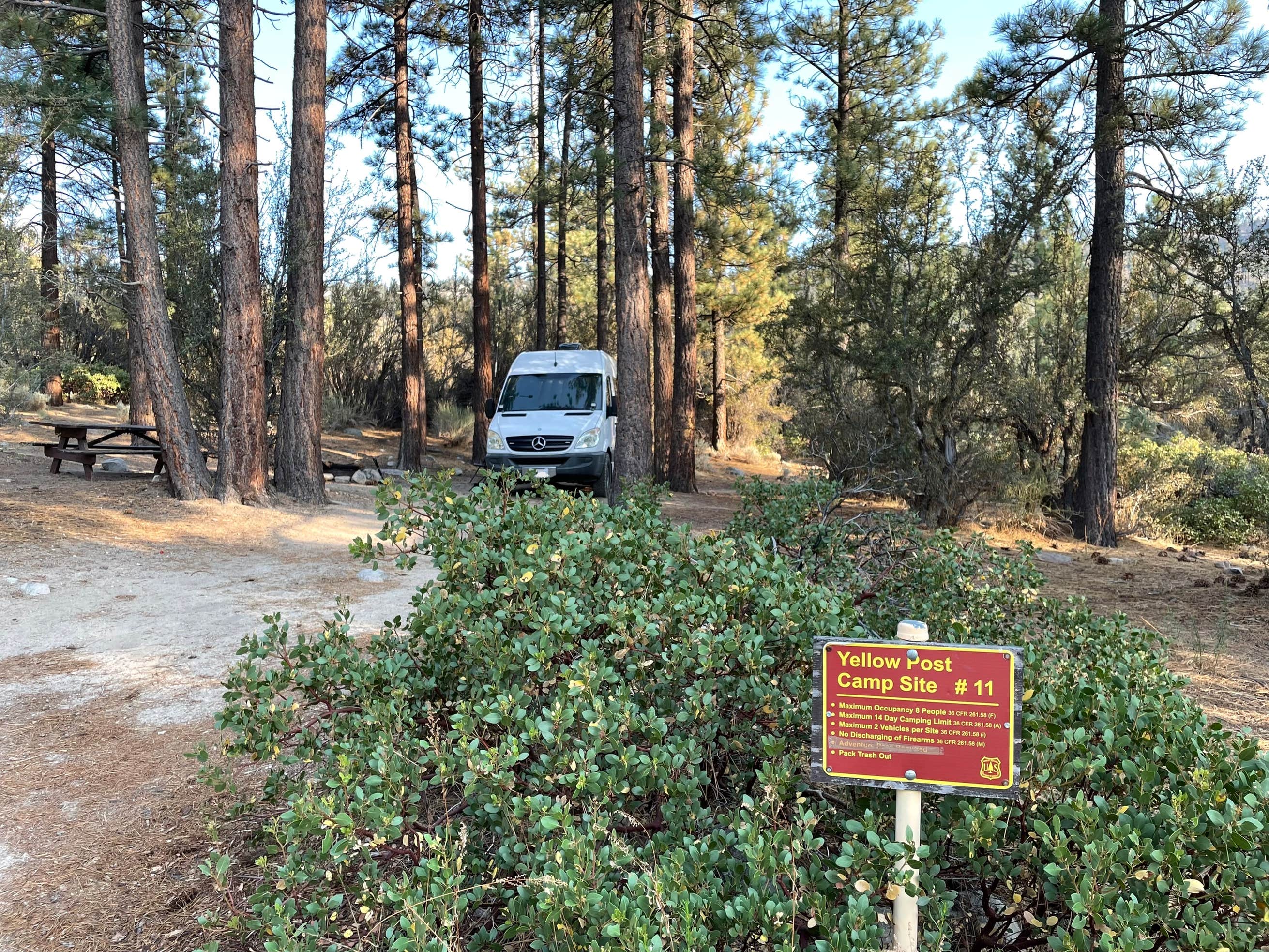 Coon Creek Yellow Post Sites Camping | The Dyrt