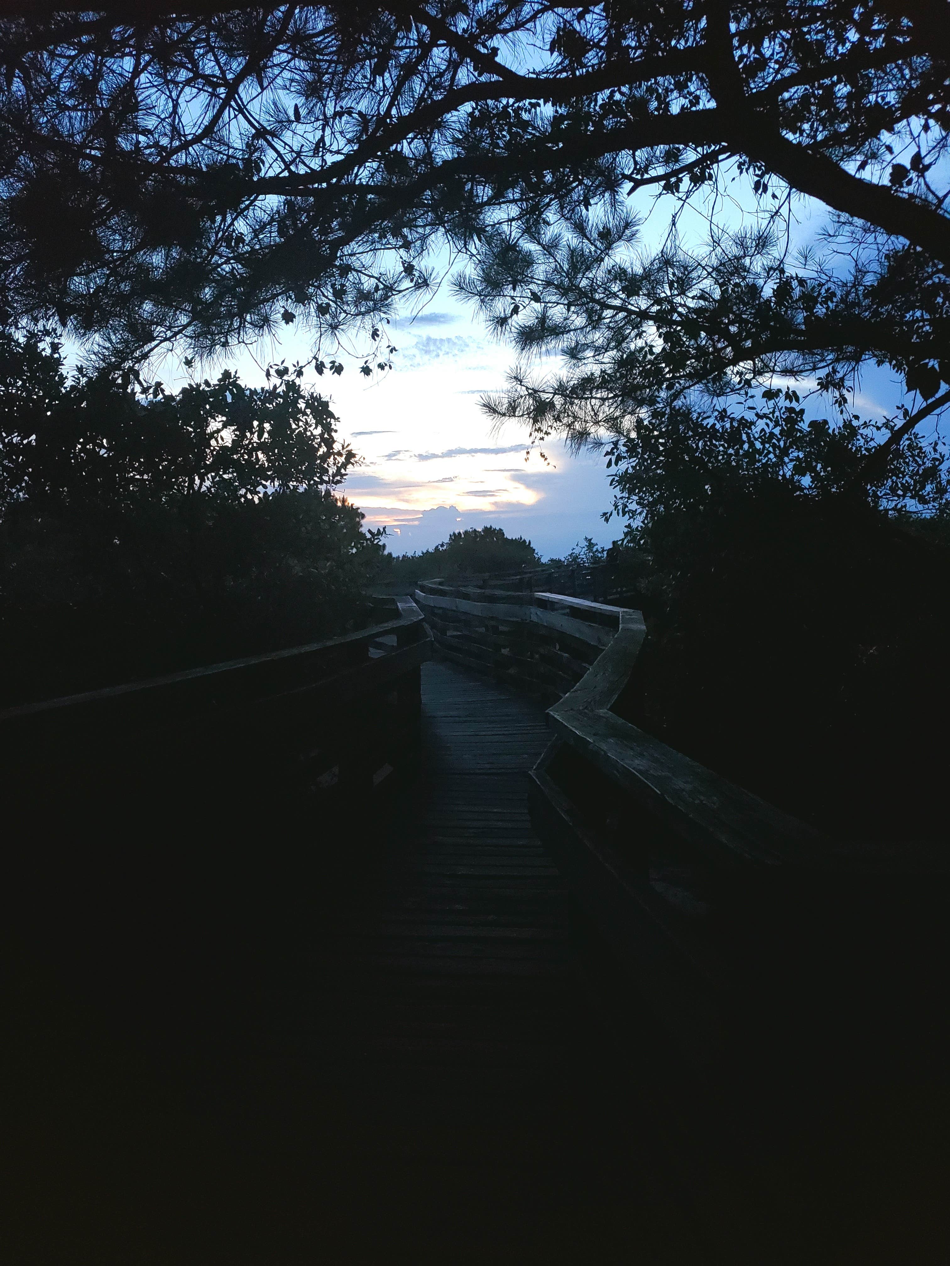 First Landing State Park | The Dyrt