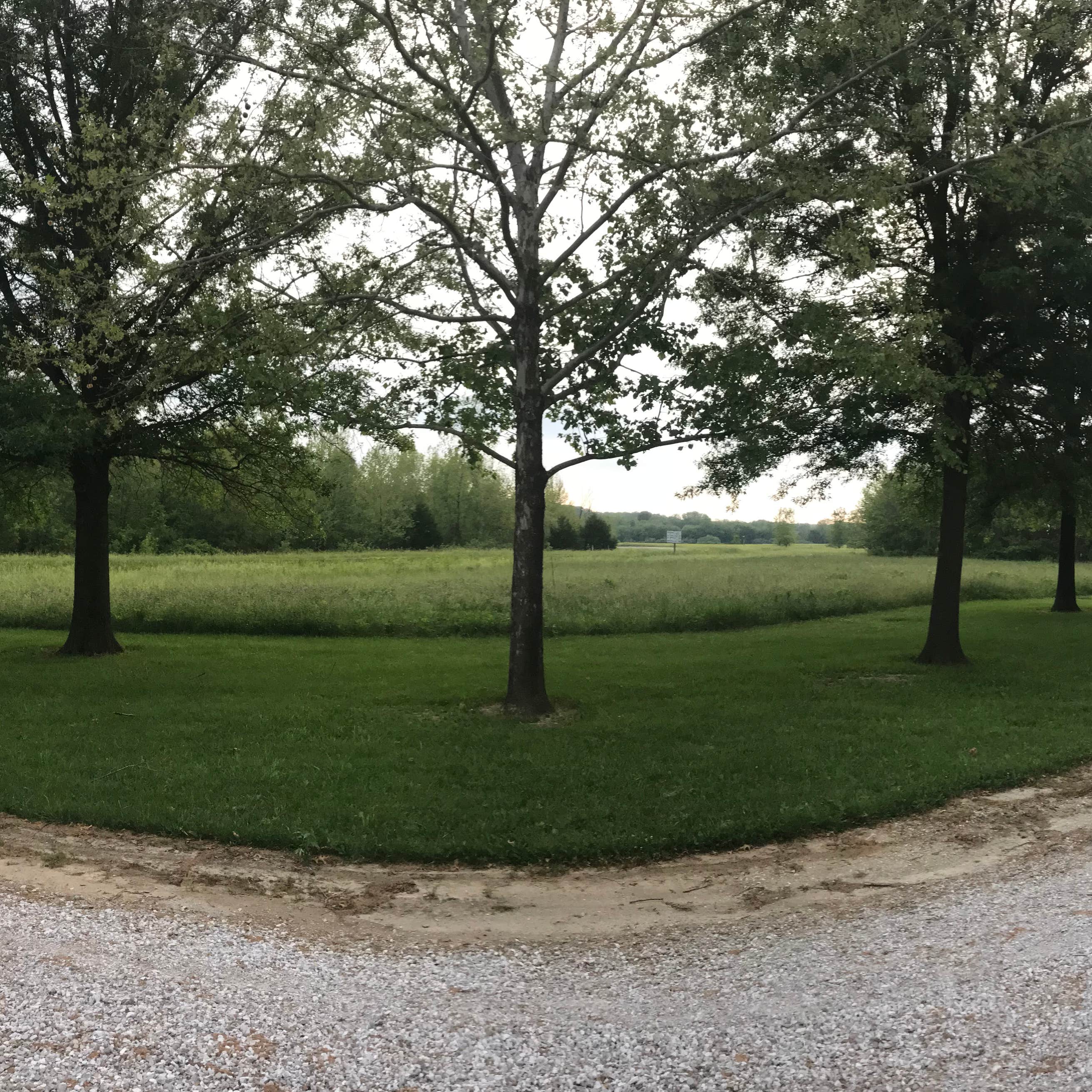 Union Ridge Conservation Area Camping | The Dyrt