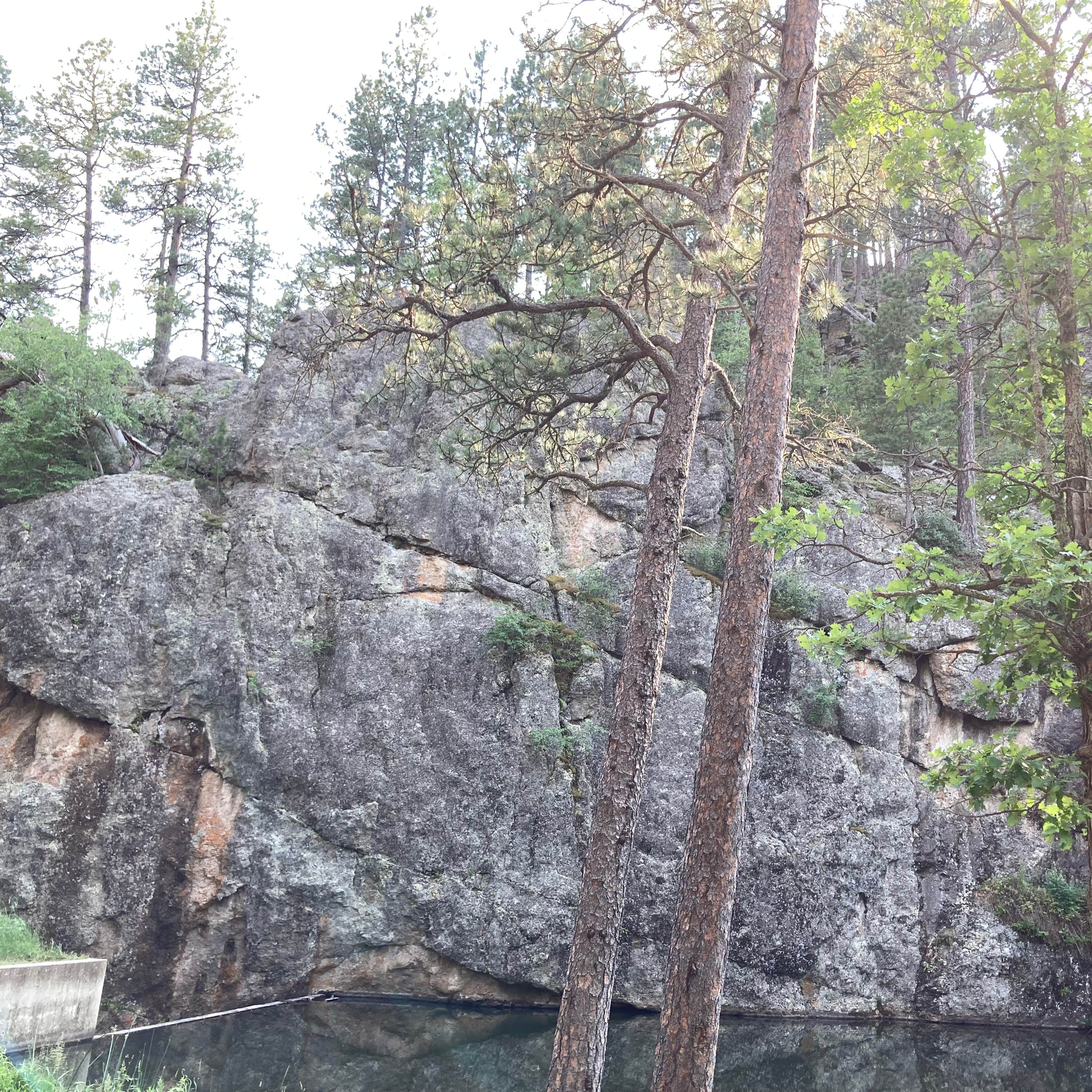 Grace Coolidge Campground — Custer State Park | Keystone, South Dakota