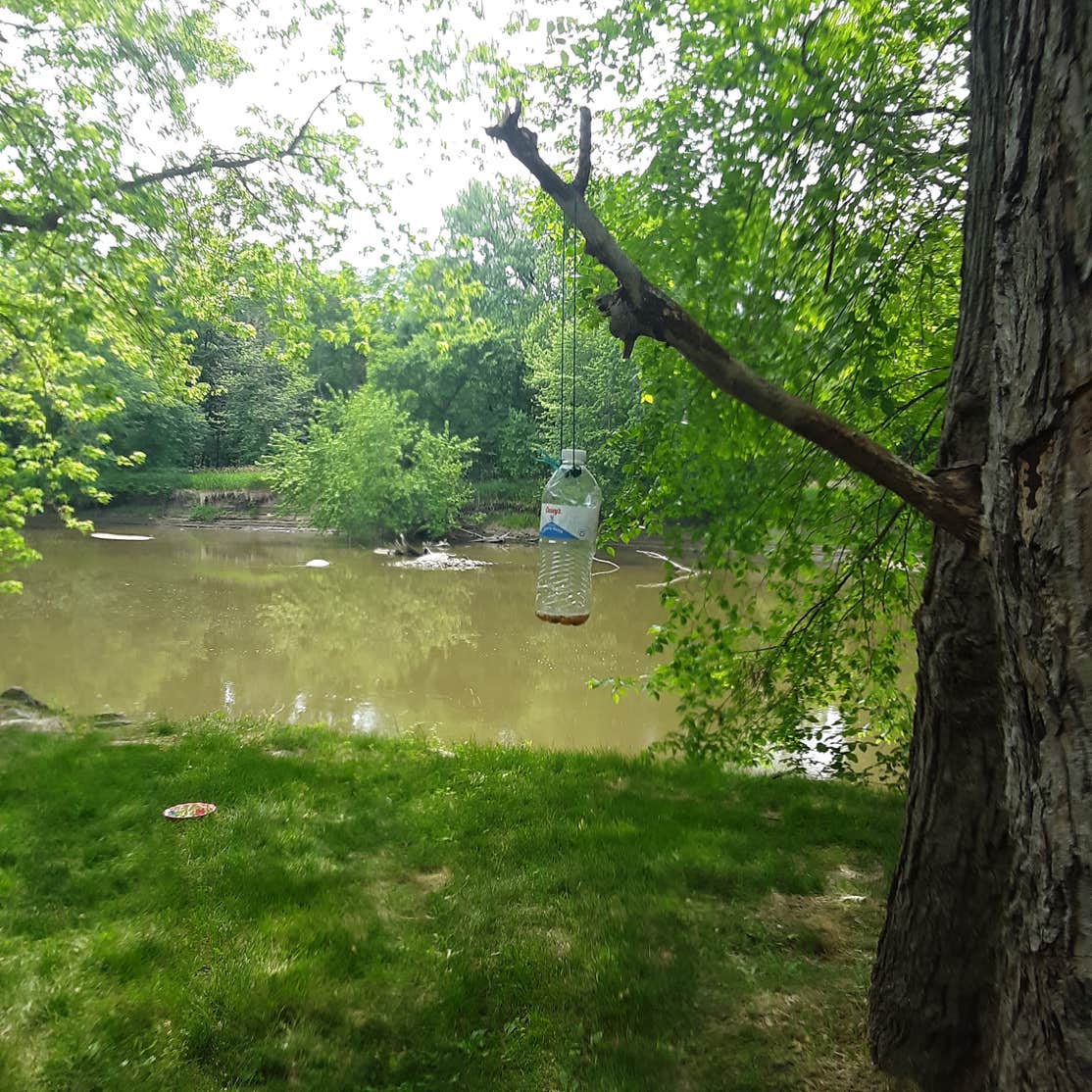 River Junction Camping | Riverside, Iowa