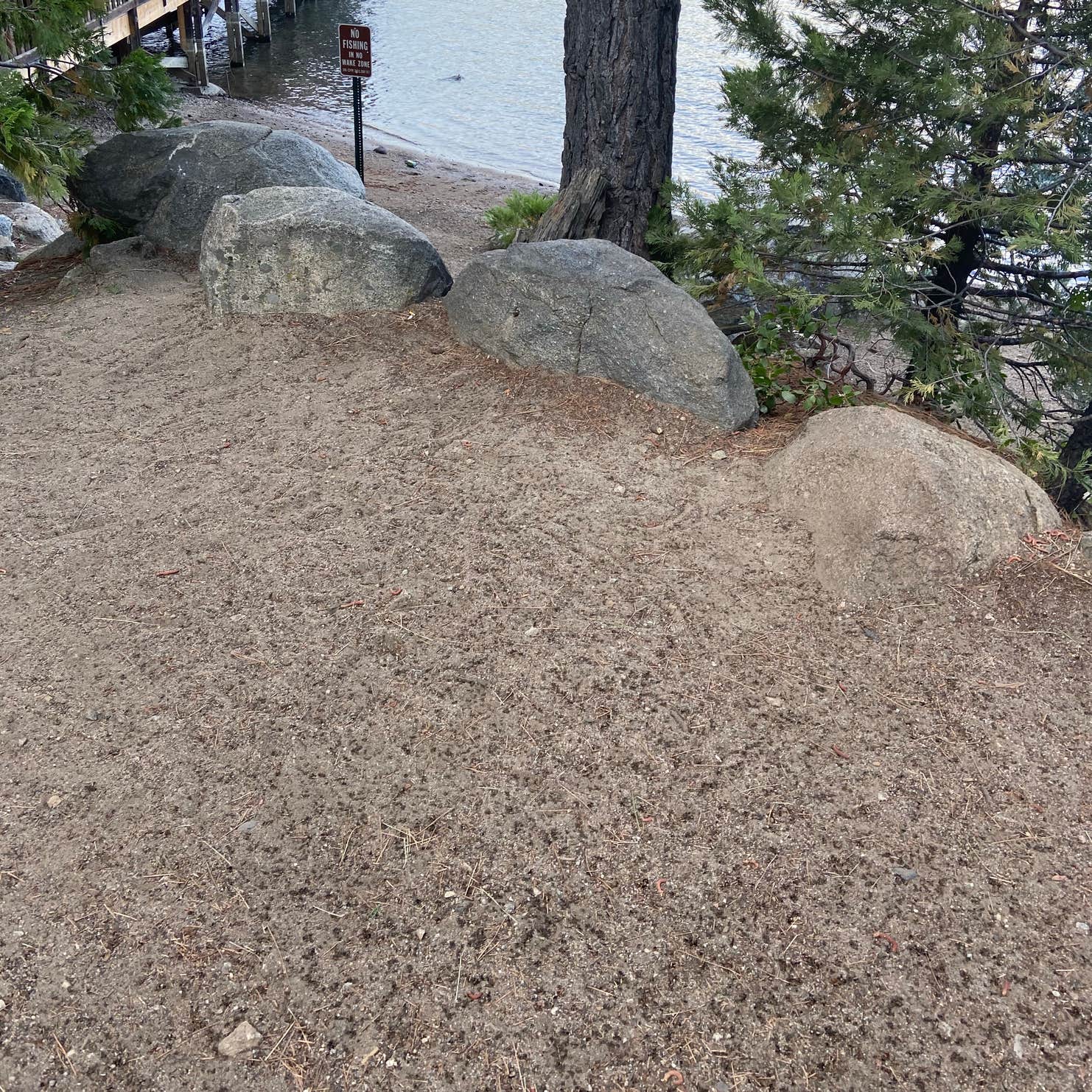 Meadowview Camping | Stanislaus National Forest, California