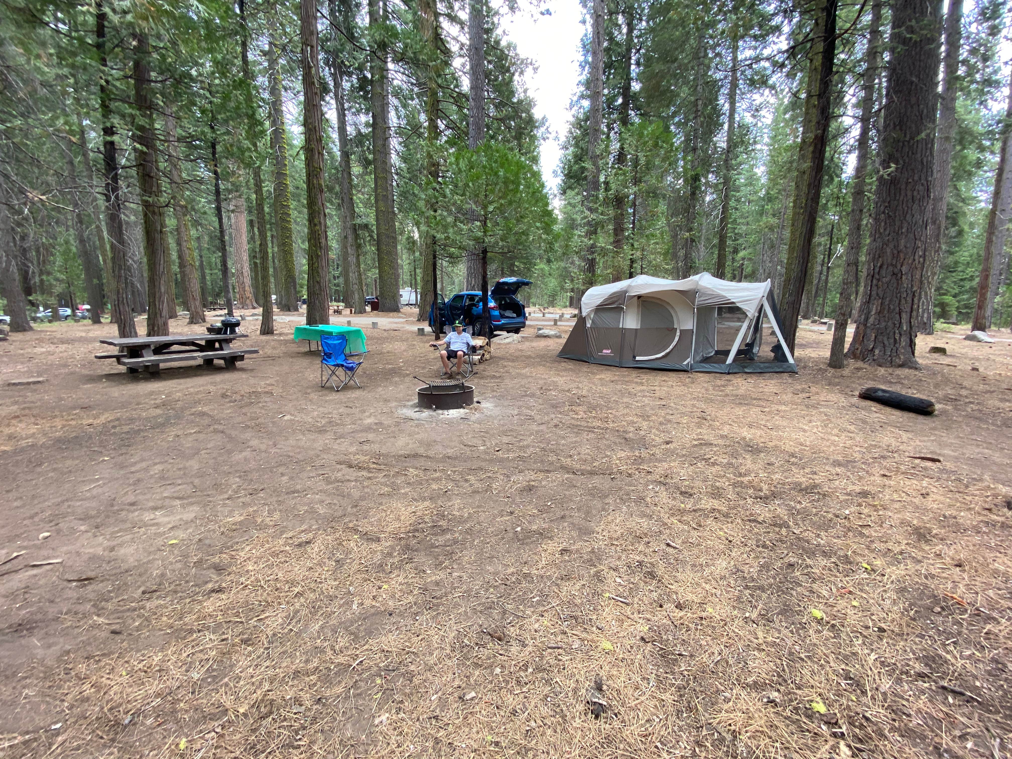 Meadowview Camping | Stanislaus National Forest, CA