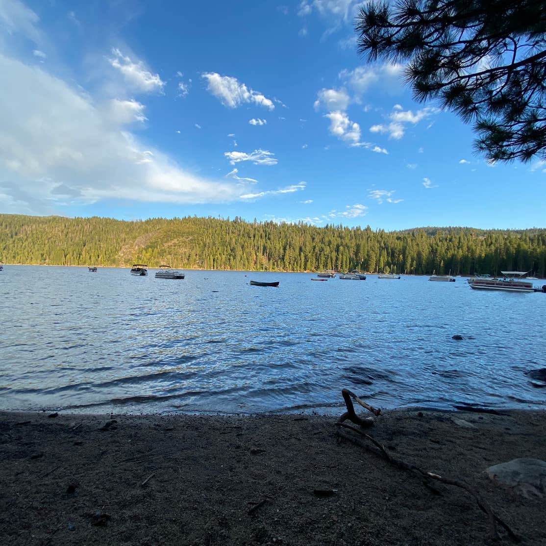 Meadowview Camping | The Dyrt