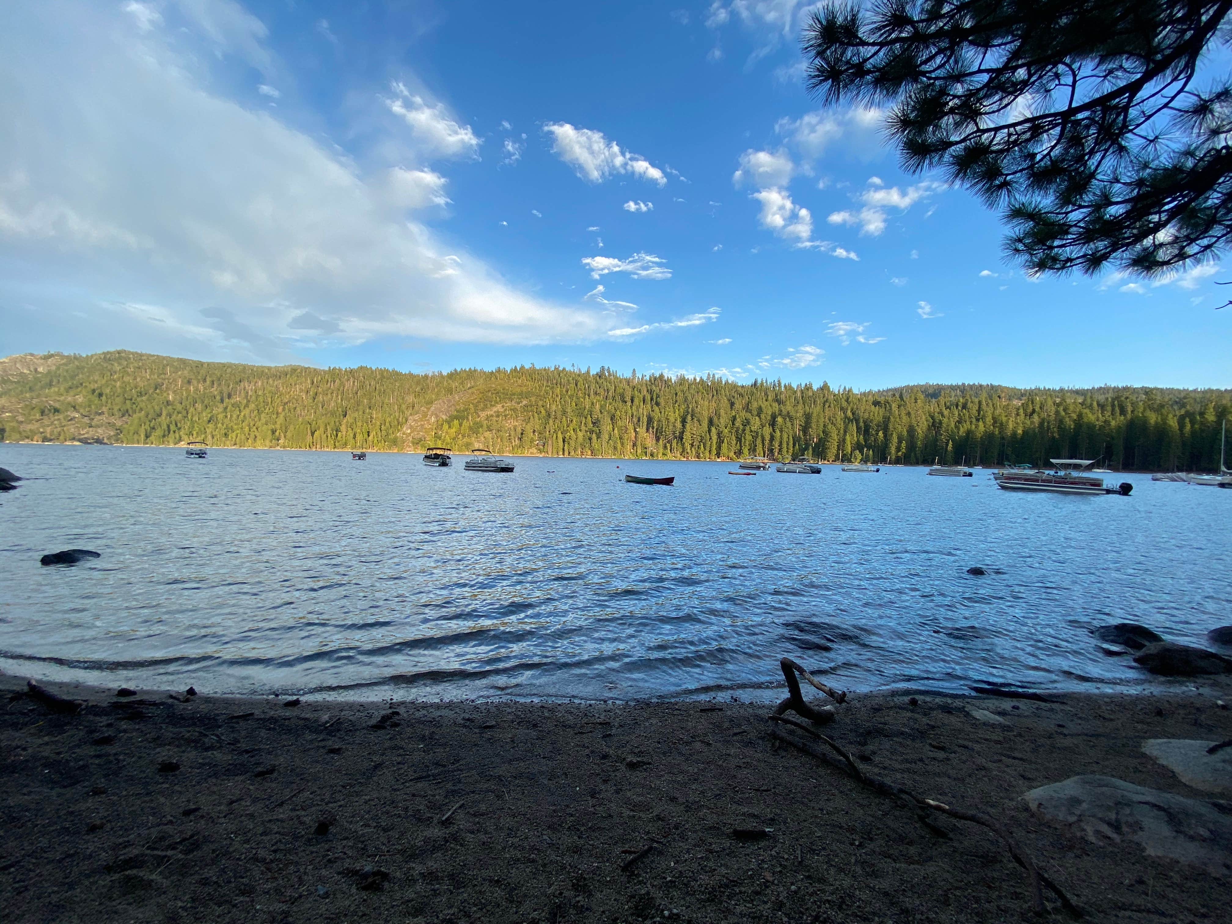Meadowview Camping | Stanislaus National Forest, CA