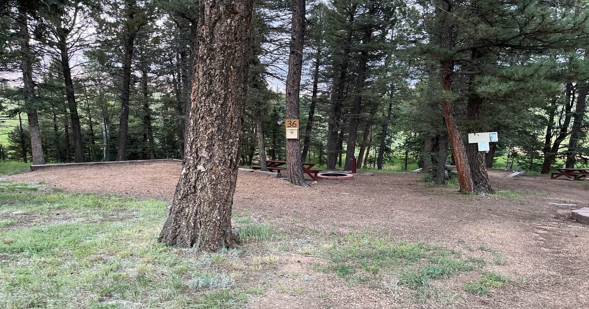 Golden Bell Camp and Conference Center Camping | The Dyrt