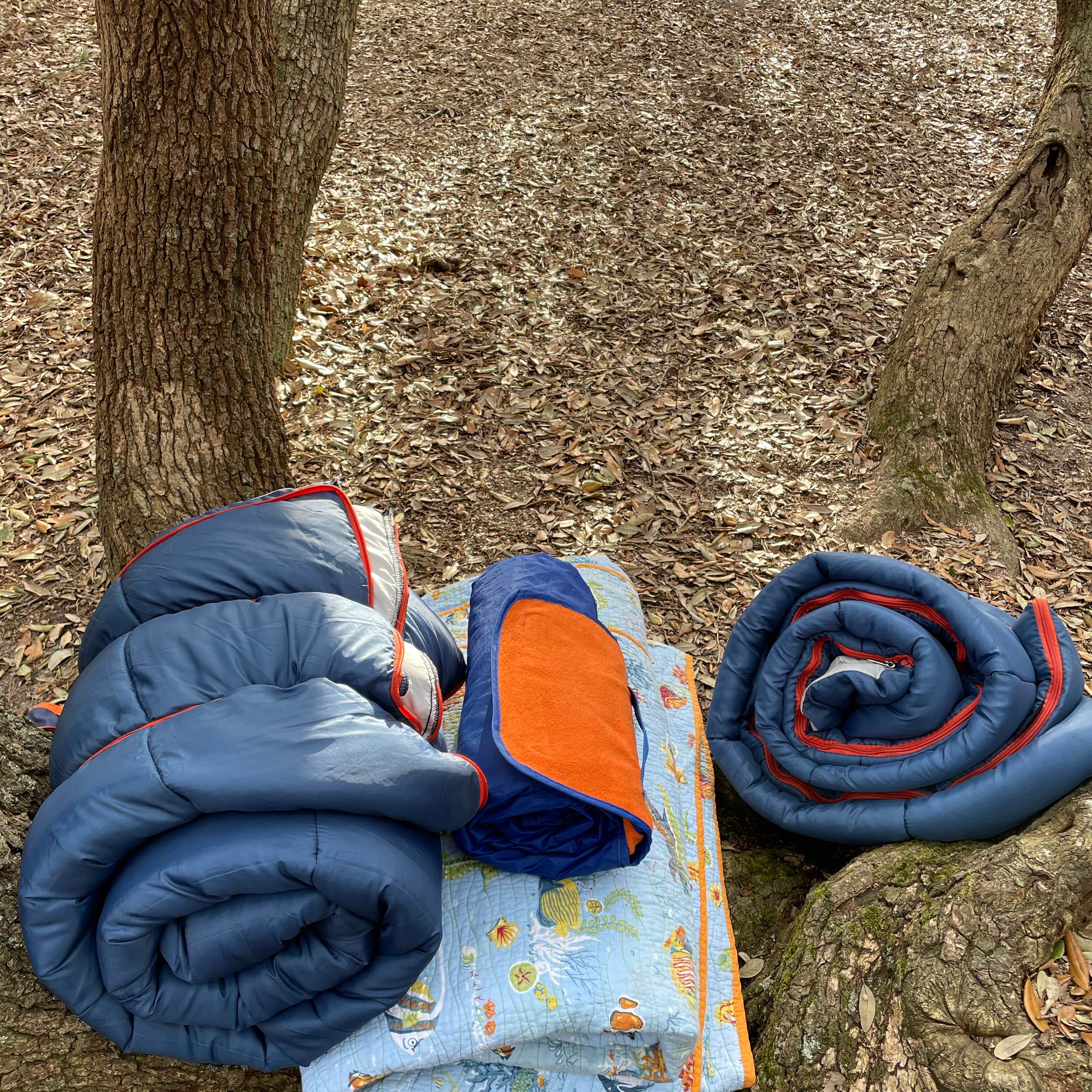 False Cape State Park Campground | Knotts Island, North Carolina