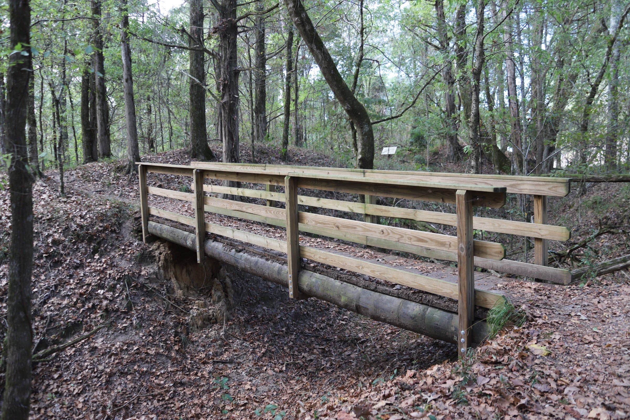 Rocky Springs Campground, Milepost 54.8 — Natchez Trace Parkway ...