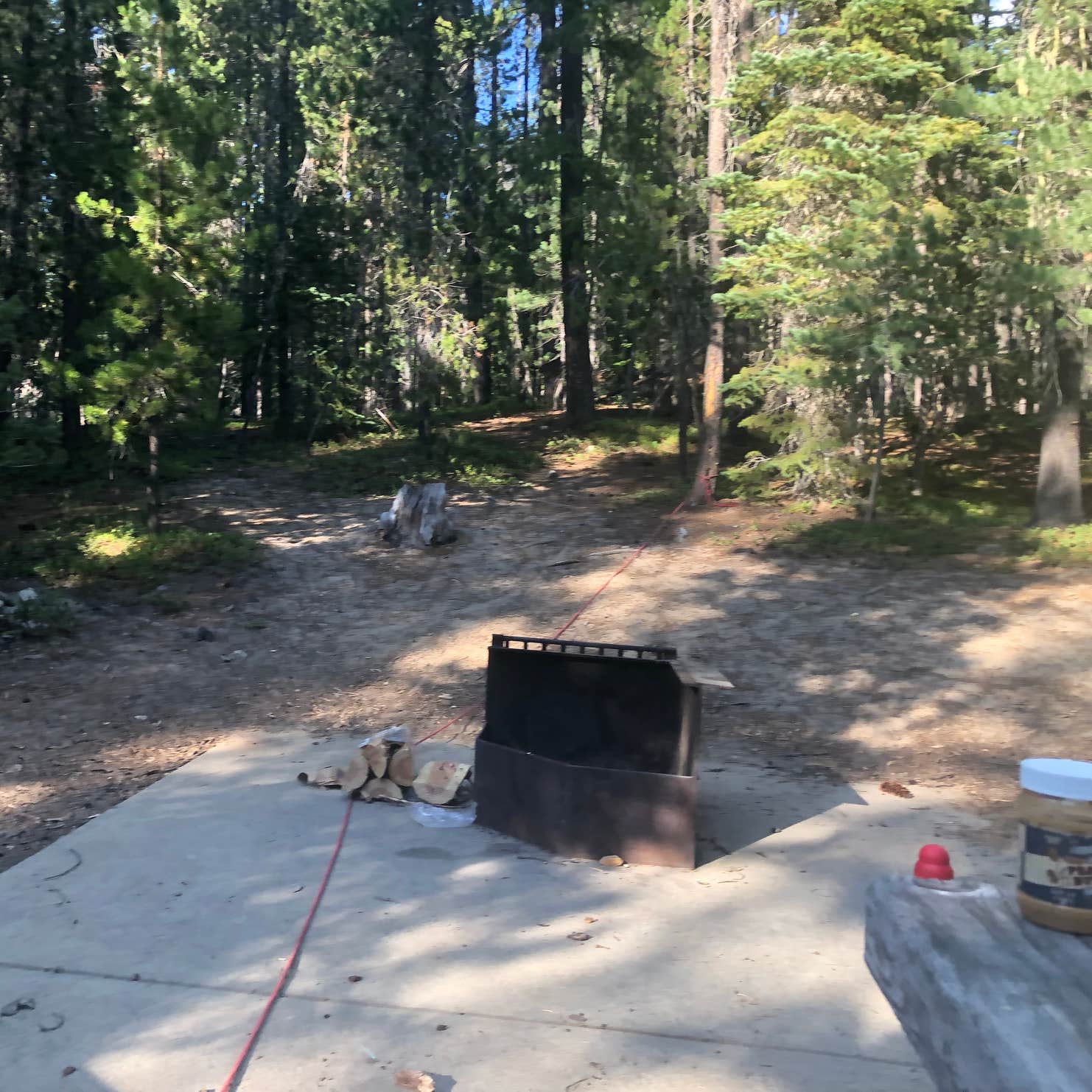 Bumping Lake Campground | Goose Prairie, Washington