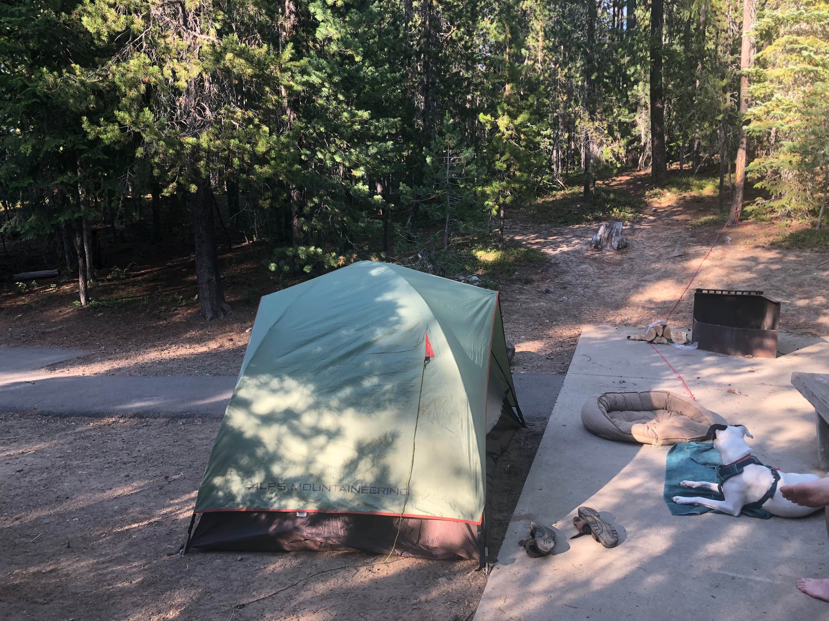Bumping Lake Campground | The Dyrt