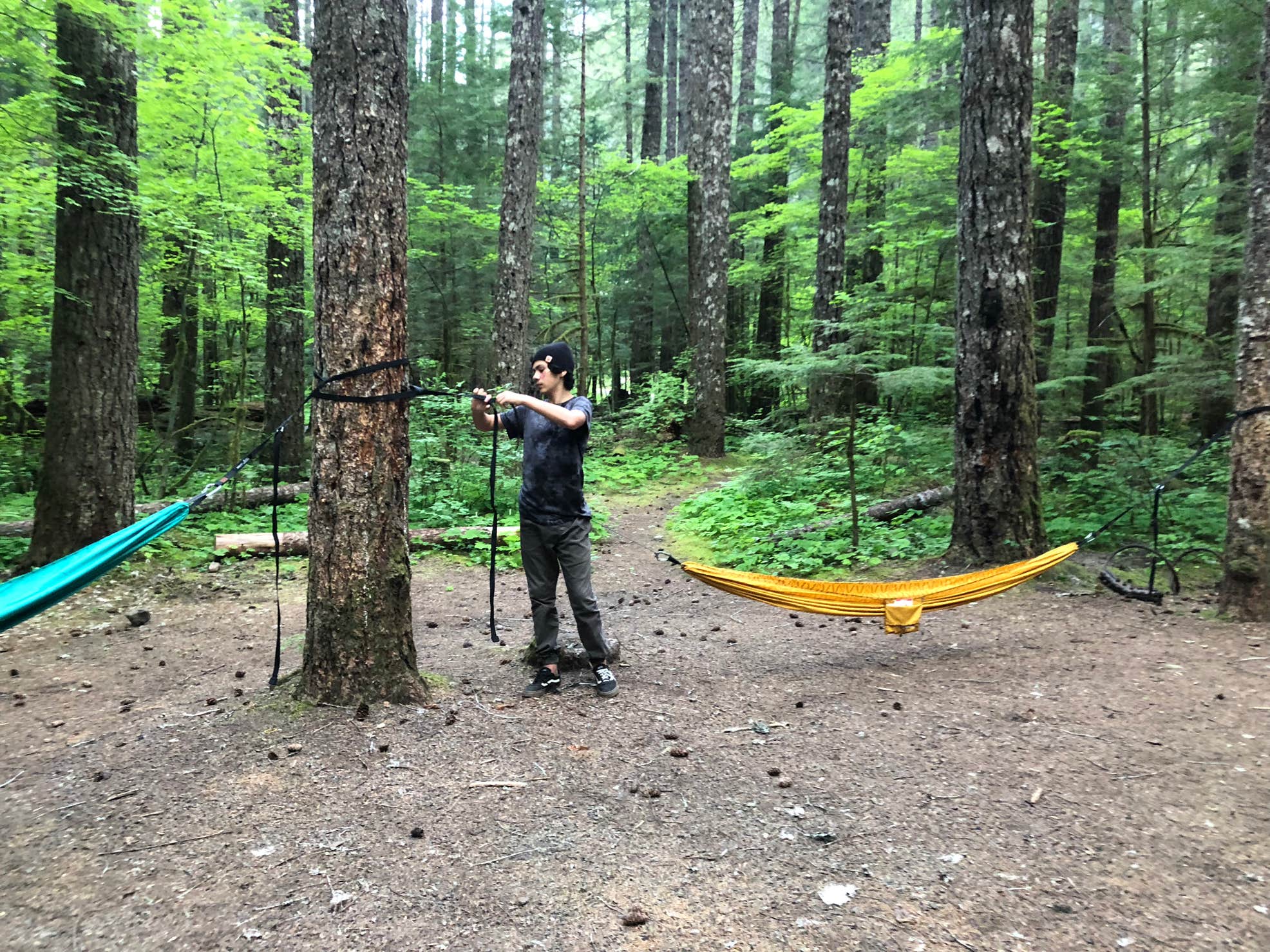 Lewis River Campground Community of Christ Camping | The Dyrt