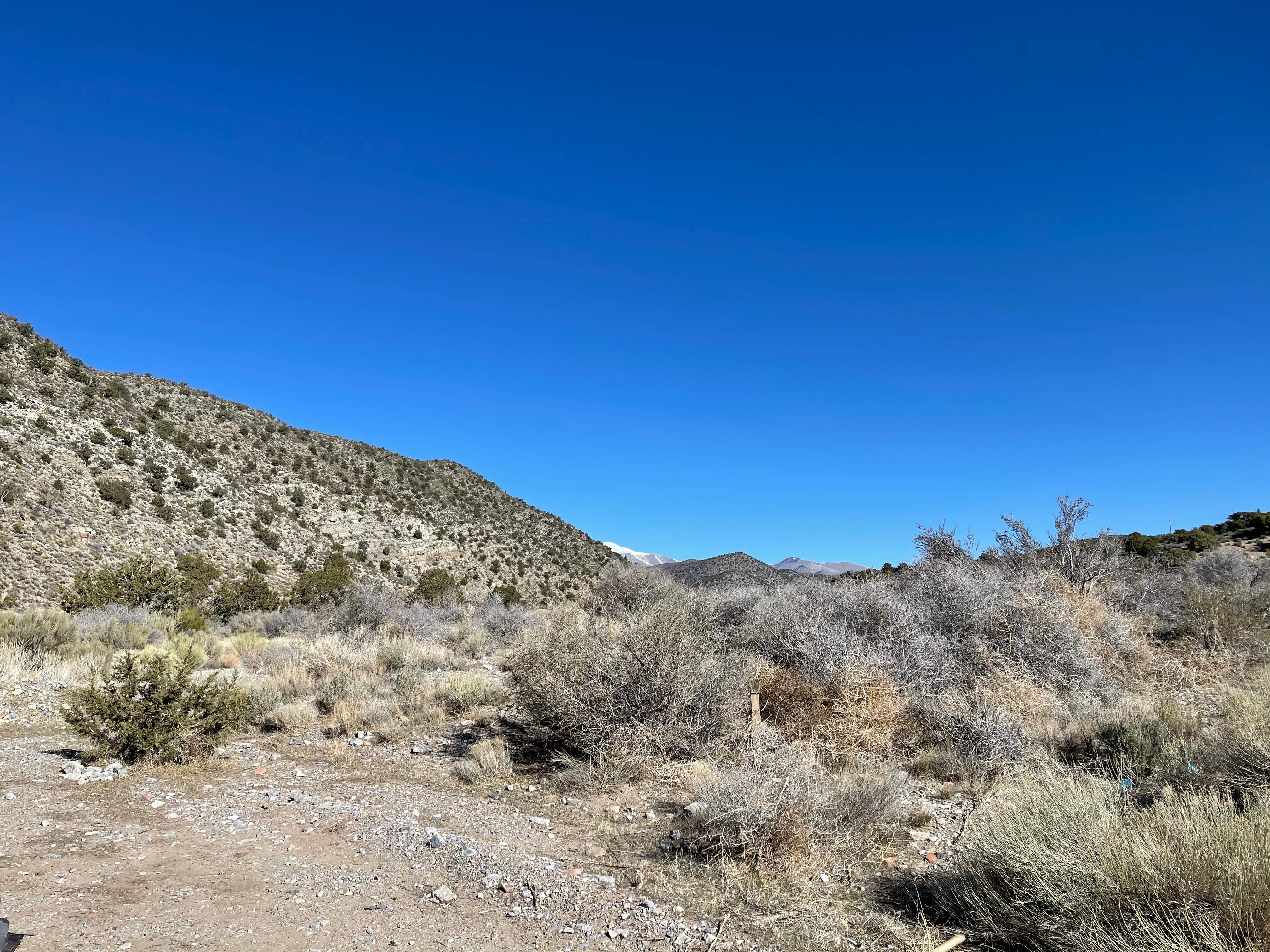 Lovell Canyon Dispersed Camping (Spring Mountain) | The Dyrt