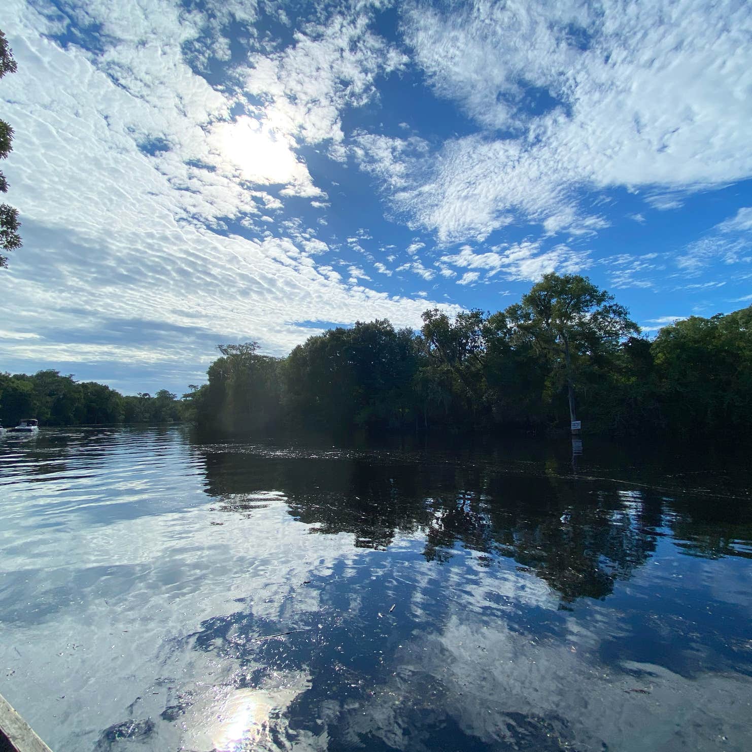 Ellie Ray's RV Resort & Lounge | Branford, Florida