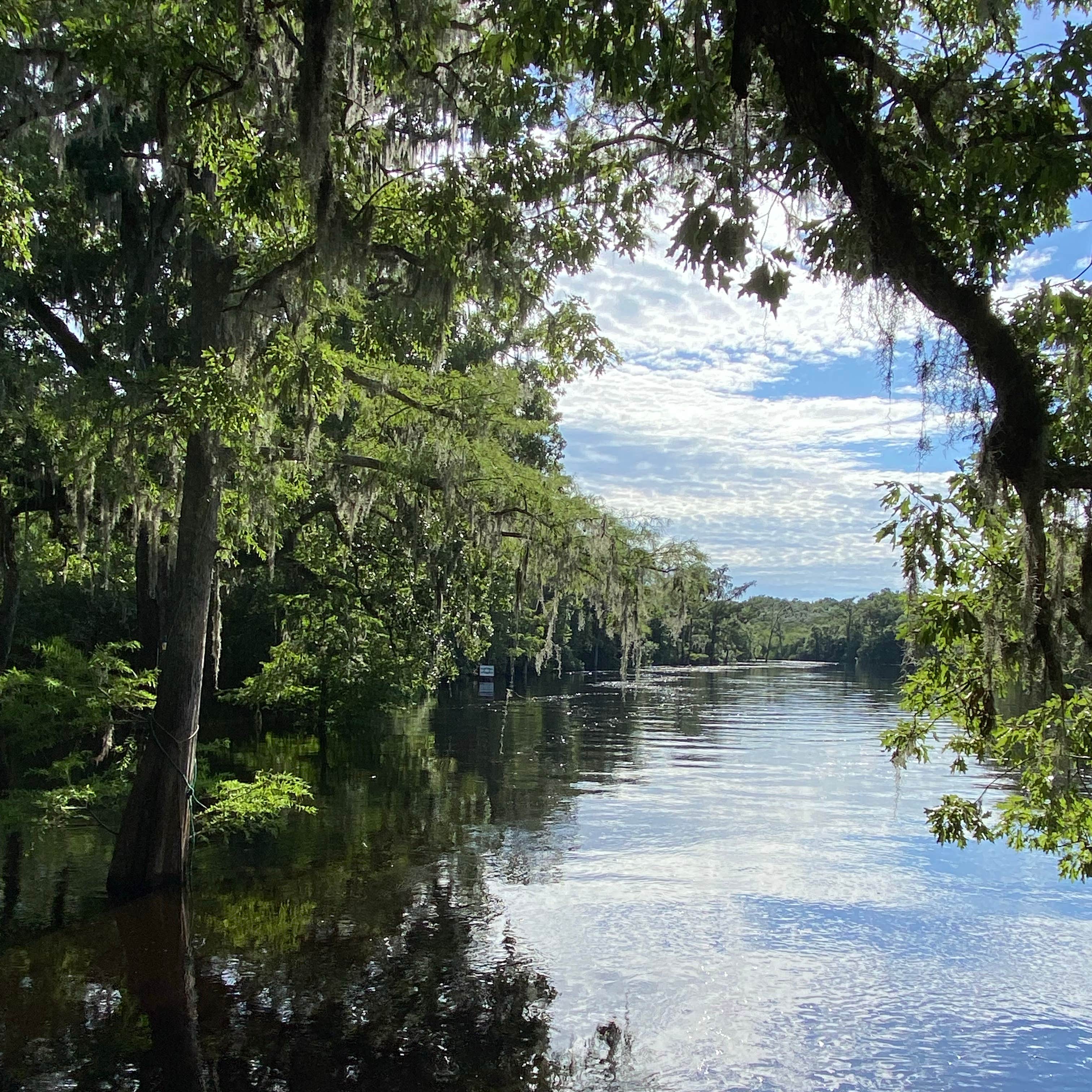 Ellie Ray's RV Resort & Lounge | Branford, Florida