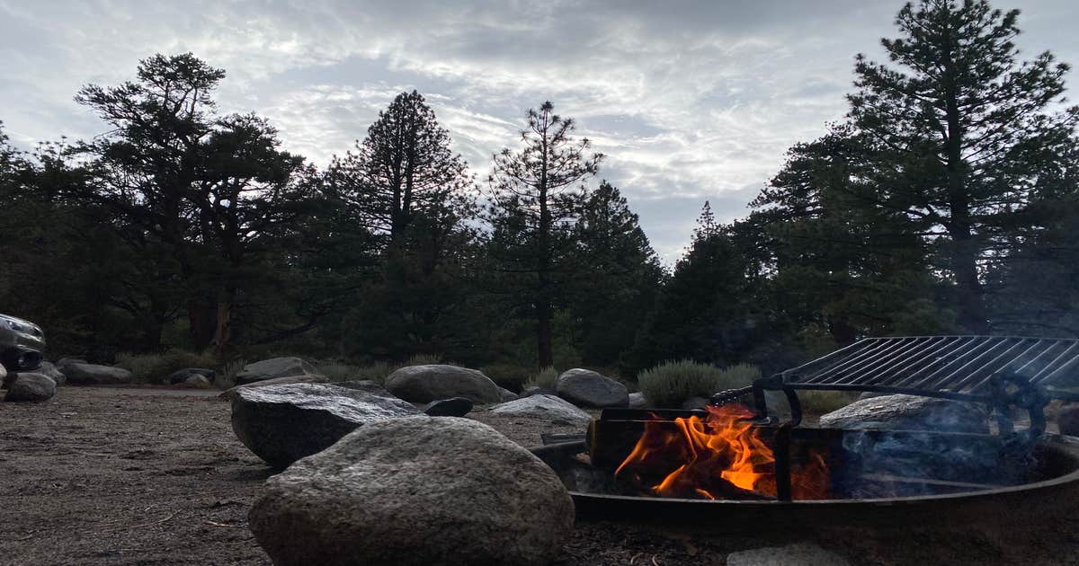 Camper-Submitted Photos of Inyo National Forest French Camp Campground