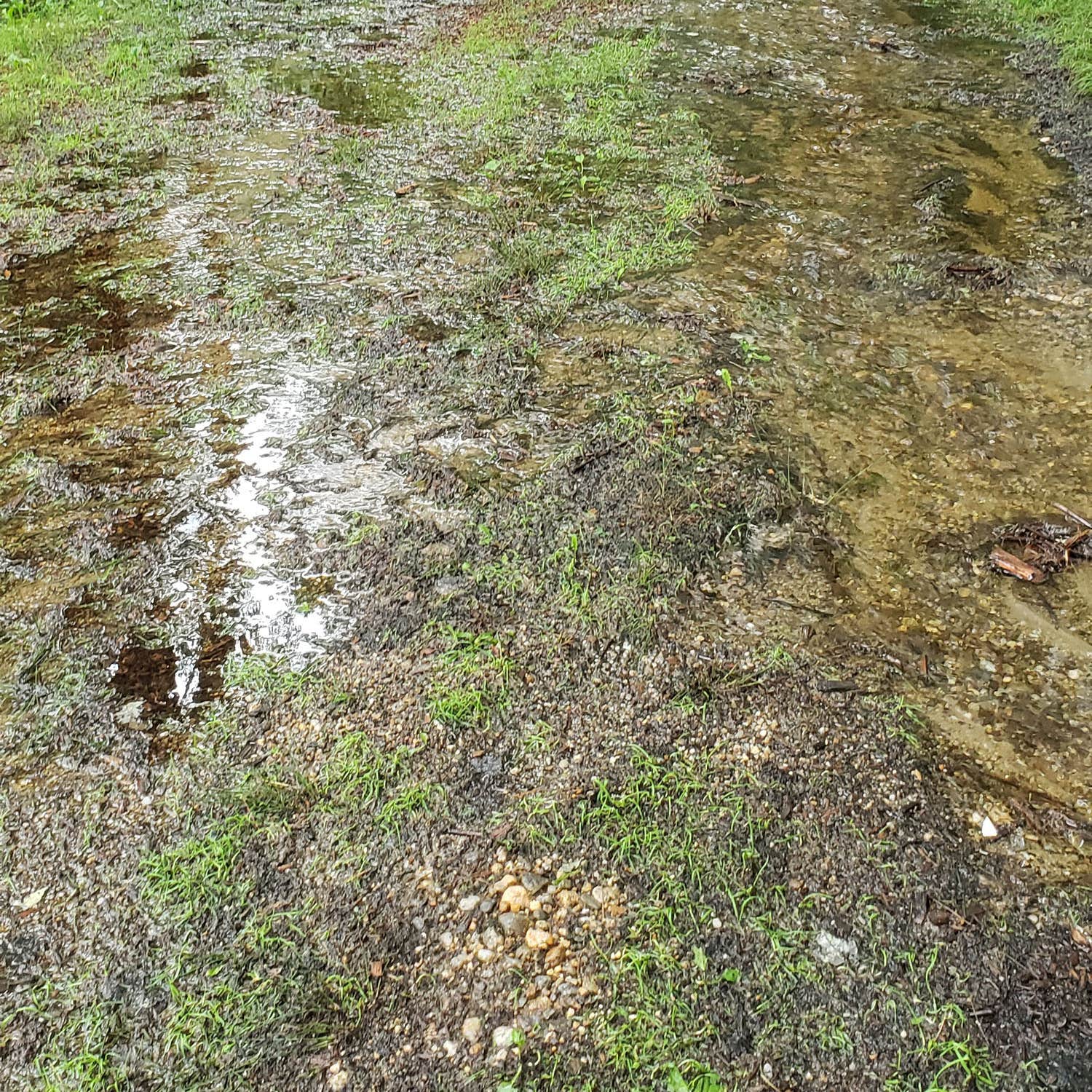 Lake Dennison State Park Camping | The Dyrt