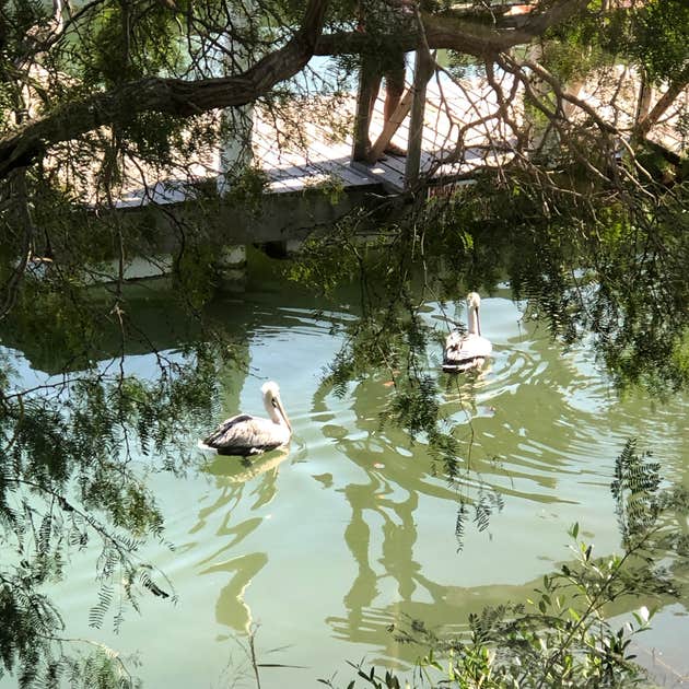 Port Isabel Park Center LLC Camping | Port Isabel, TX