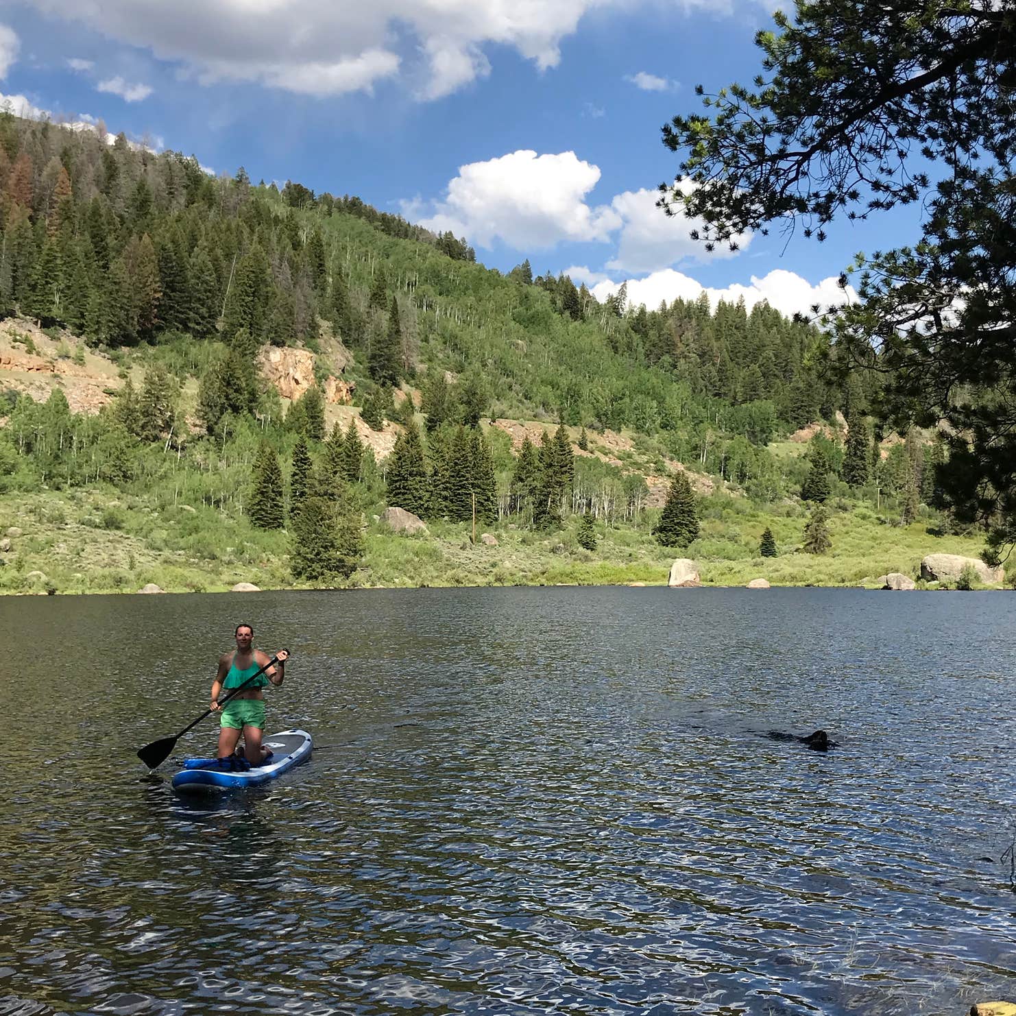Chapman Reservoir Camping | The Dyrt