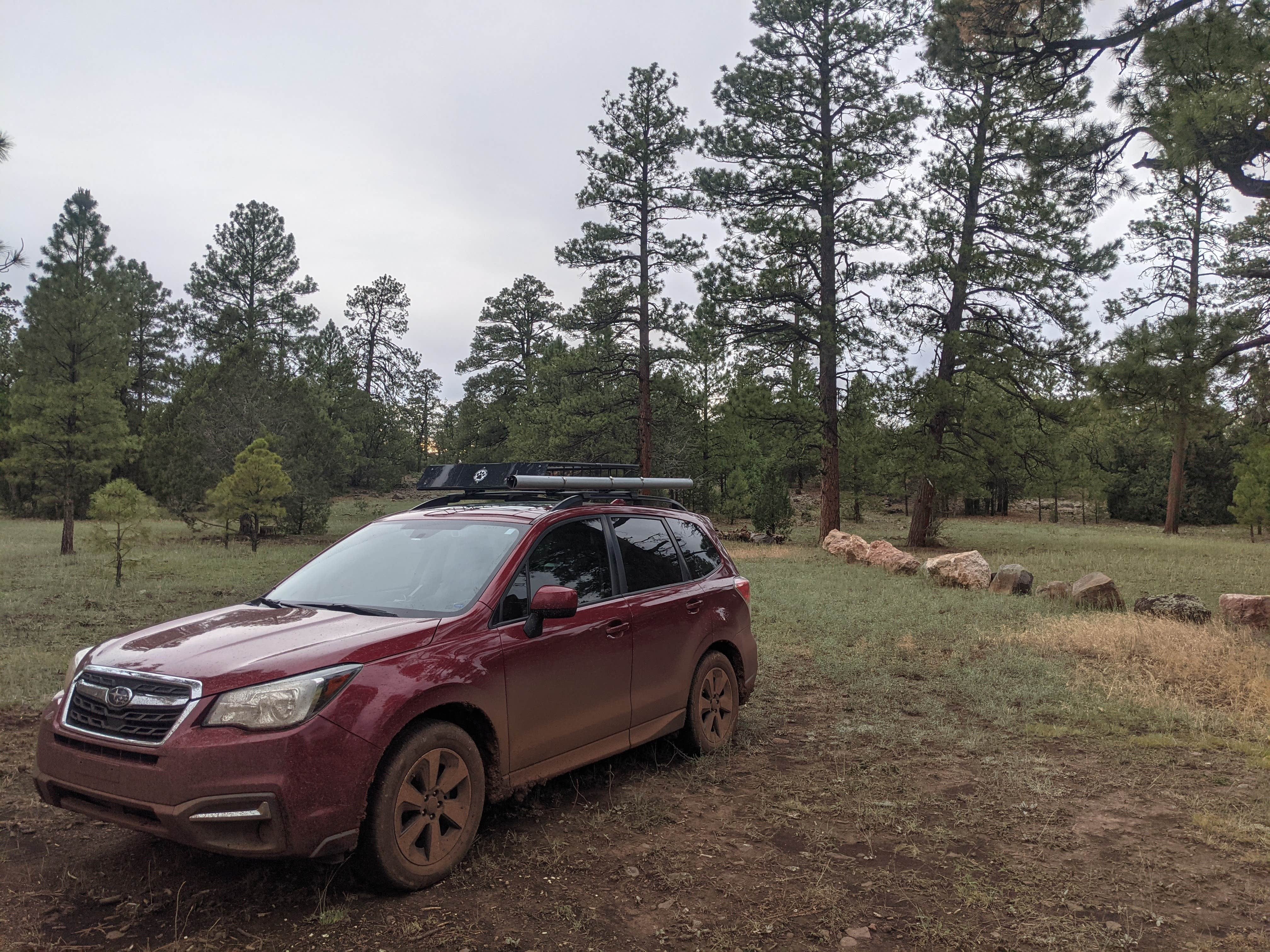 Marshall Lake Camping | Flagstaff, AZ