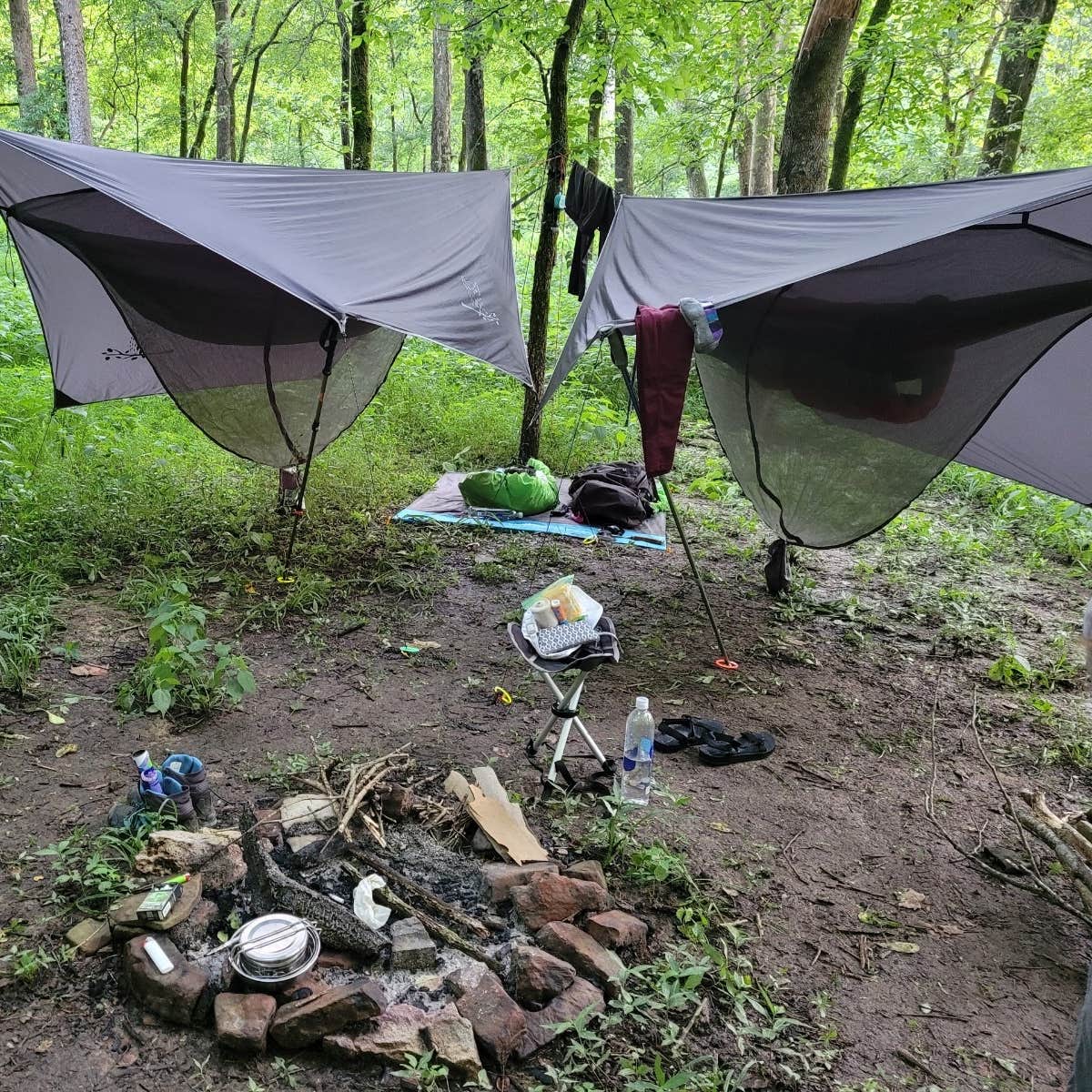Charles C. Deam Wilderness Camping | Heltonville, IN