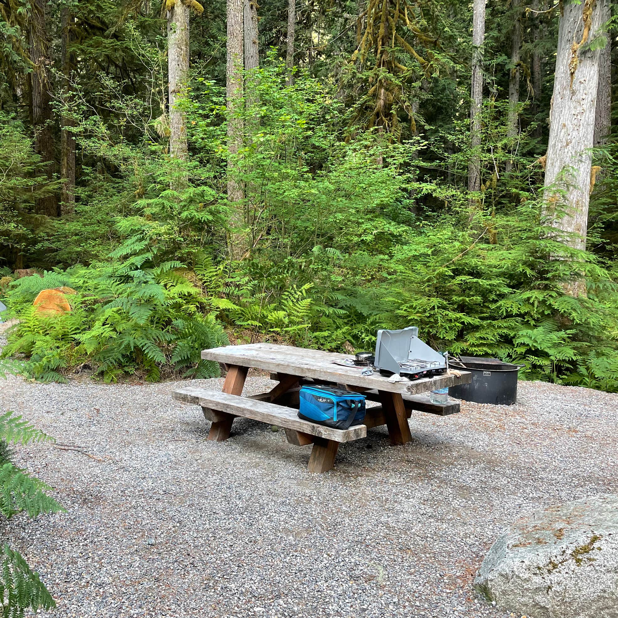 Marble Creek Campground | Marblemount, Washington