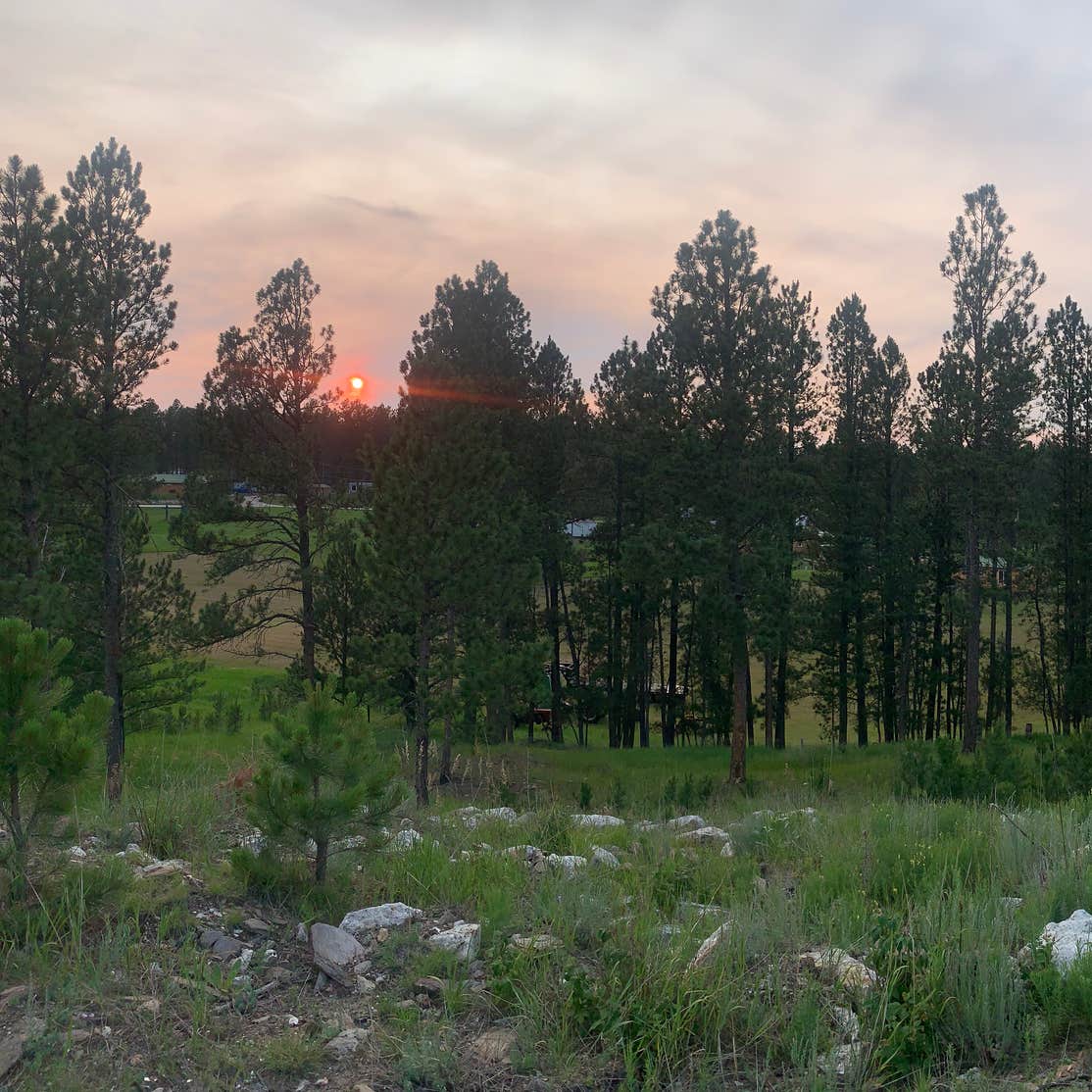 Custer Mountain Cabins and Campground | Custer, South Dakota