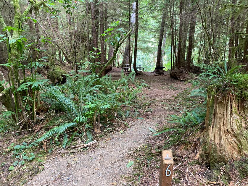 Dawleys Sol Duc River Campground Camping | The Dyrt