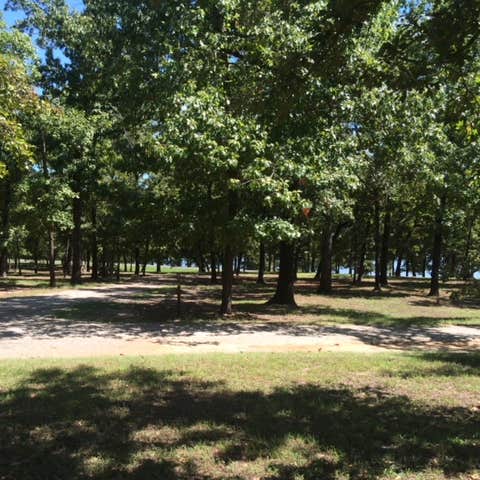 COE Pat Mayse Lake Pat Mayse Park East Camping | Arthur City, Texas